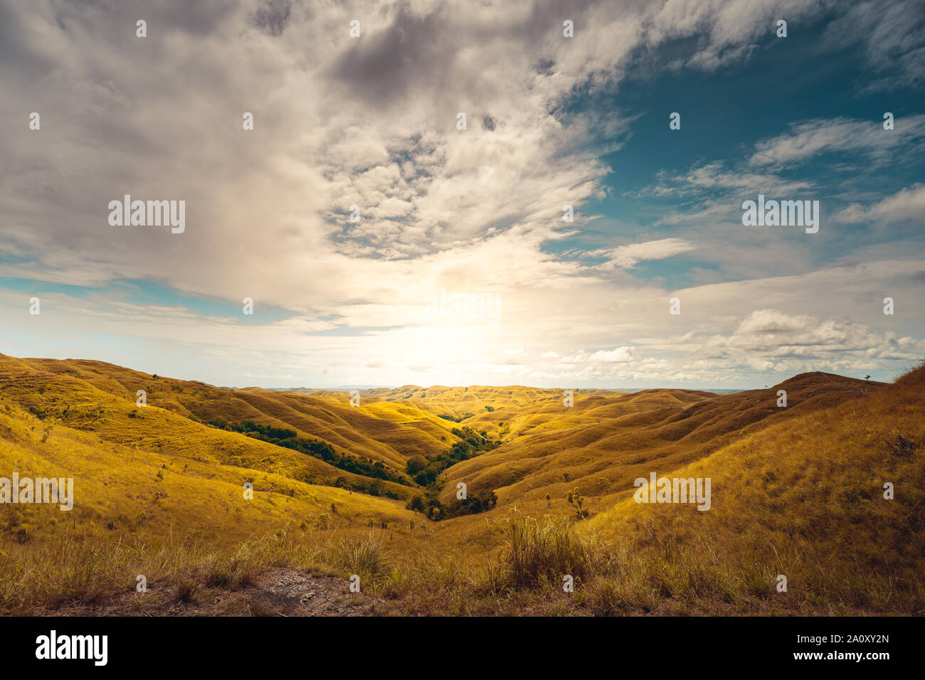 Sumba grassland hi-res stock photography and images - Alamy