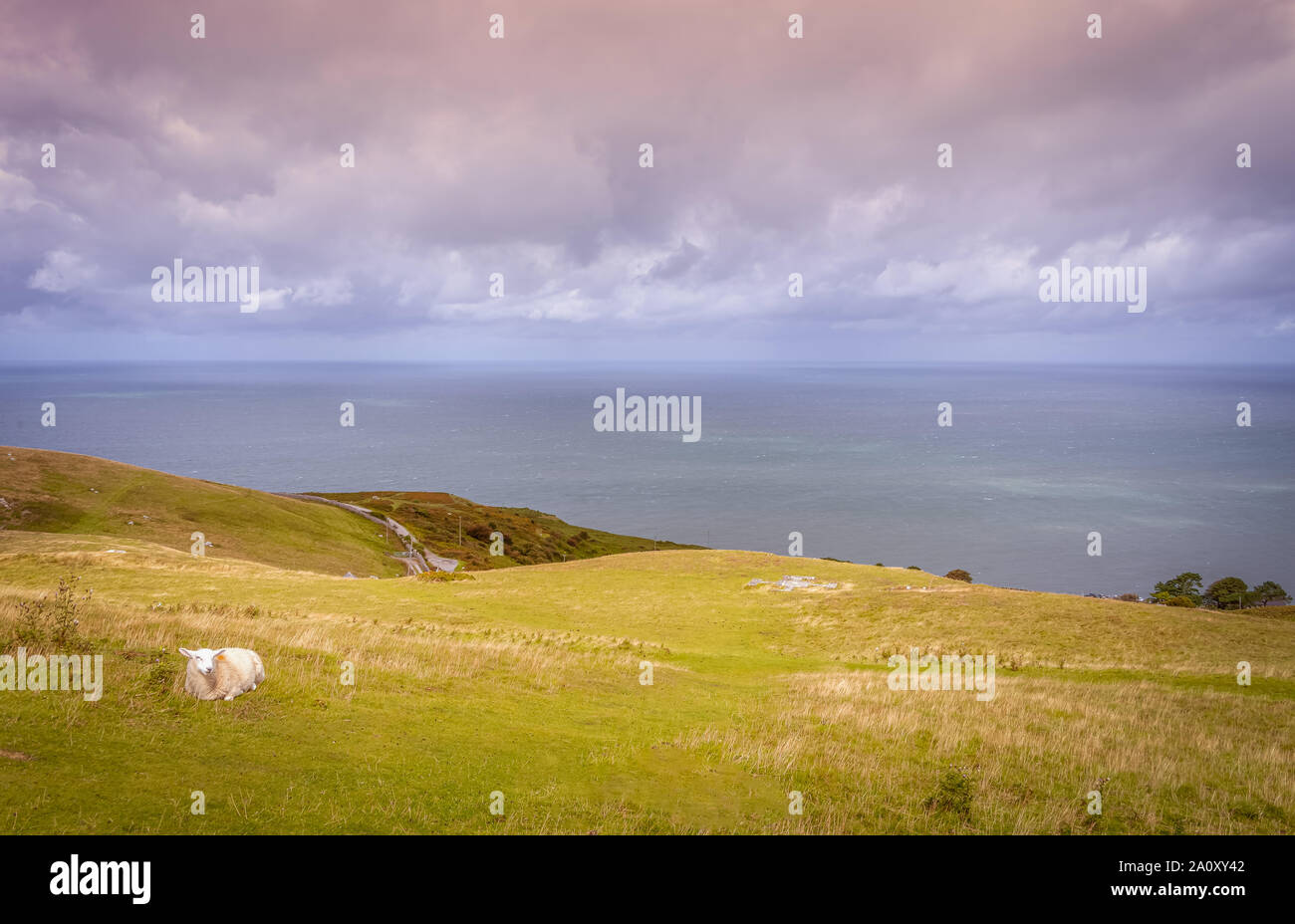 Undulation road hi-res stock photography and images - Alamy