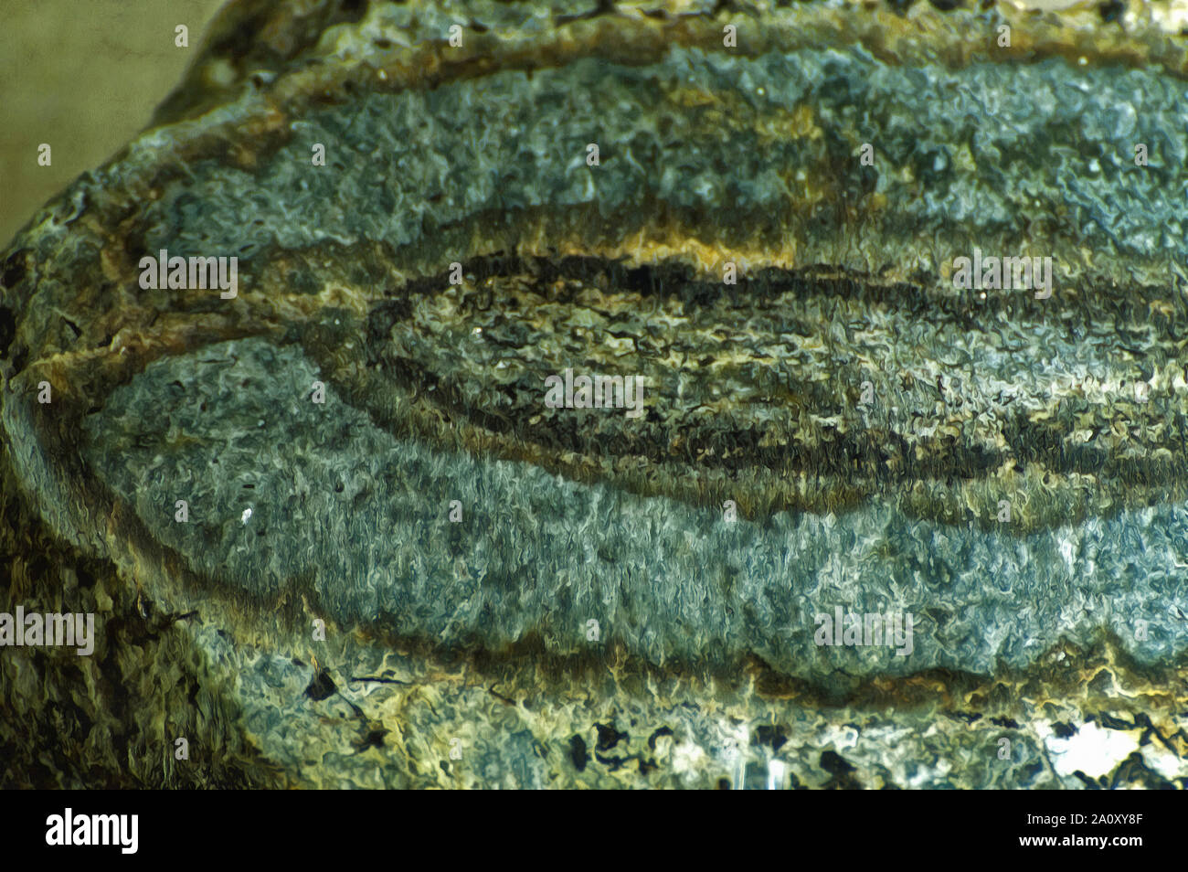 Cordierite images hi-res stock photography and images - Alamy