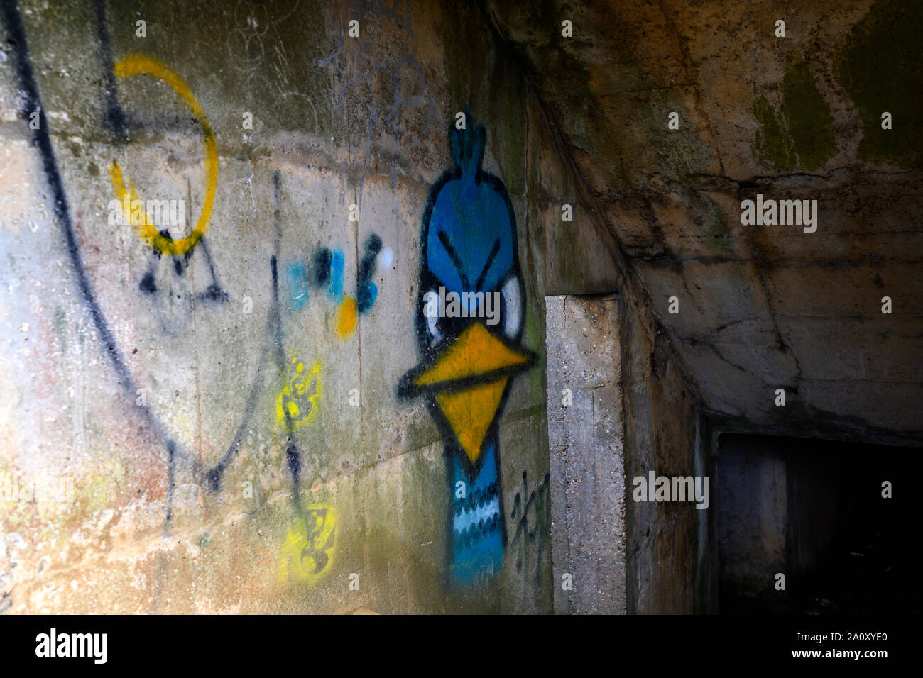 Graffiti in a wartime bunker Stock Photo - Alamy