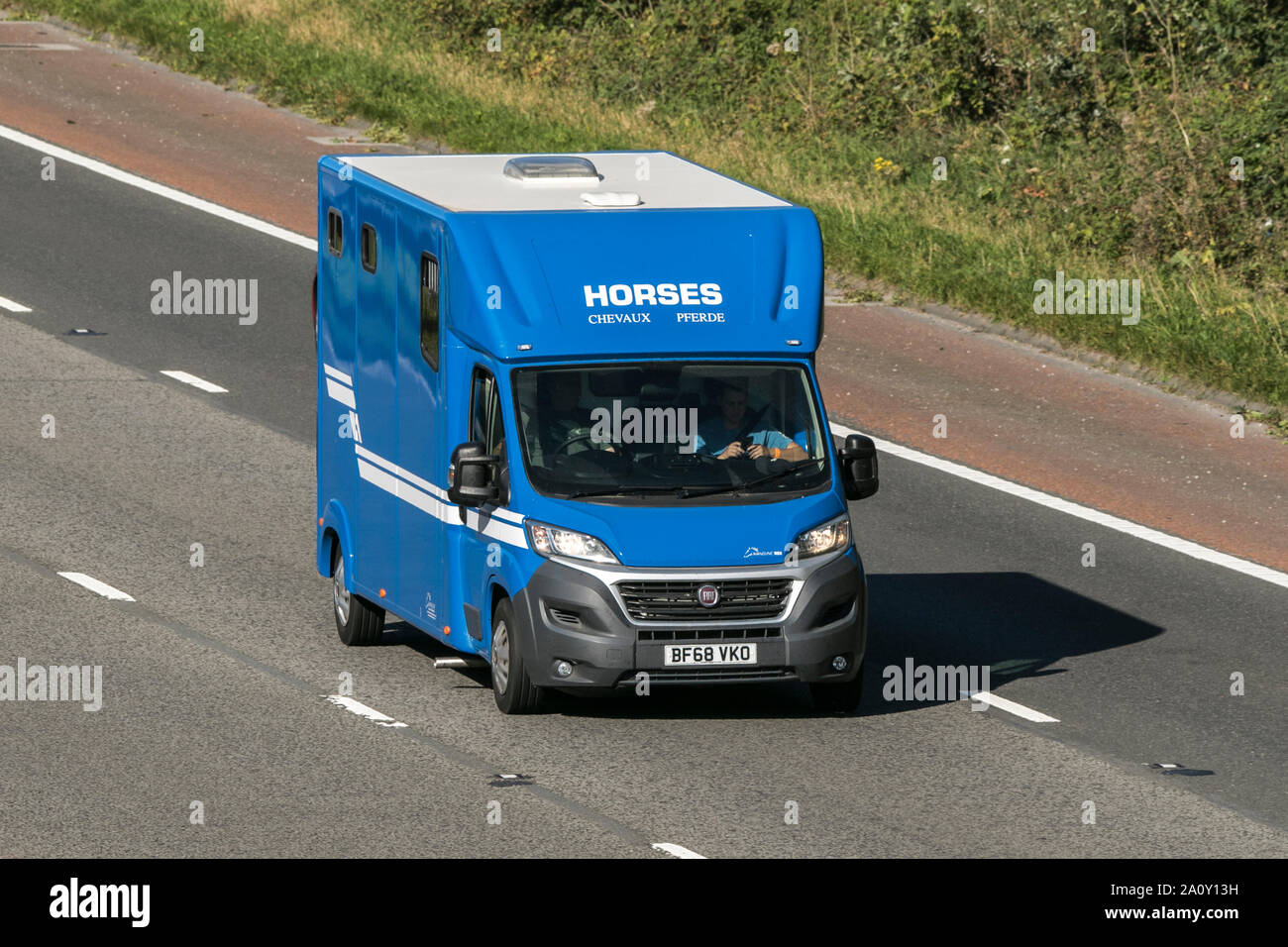 Fiat Ducato van horse box Classic, specialist, collectable future ...