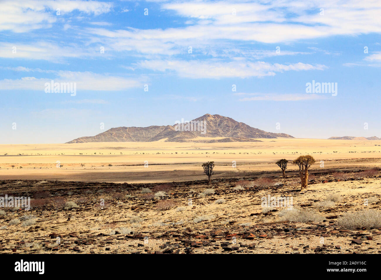 Namibia desert landscape hi-res stock photography and images - Alamy