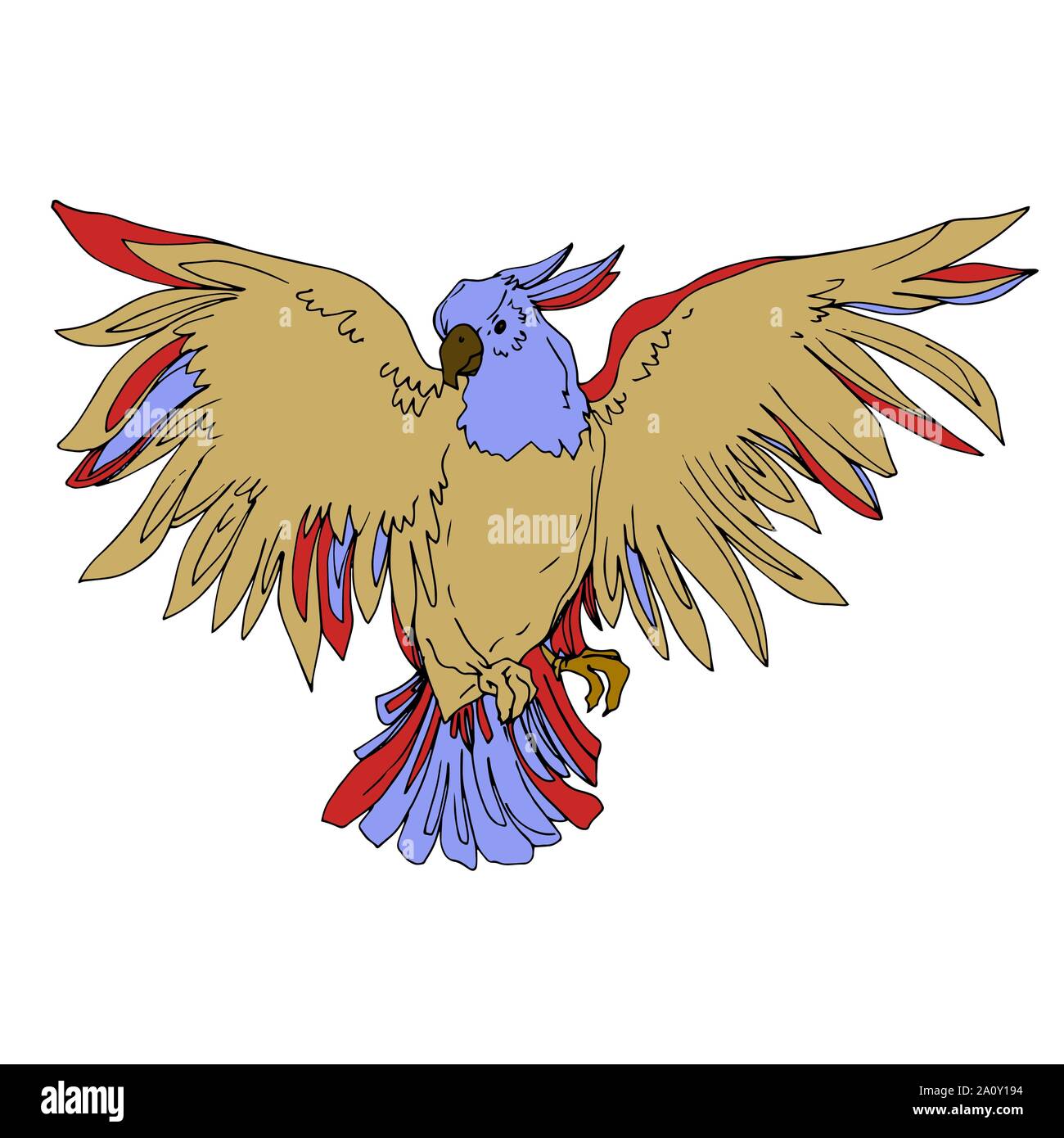 Vector Sky bird cockatoo in a wildlife isolated. Wild freedom, bird ...