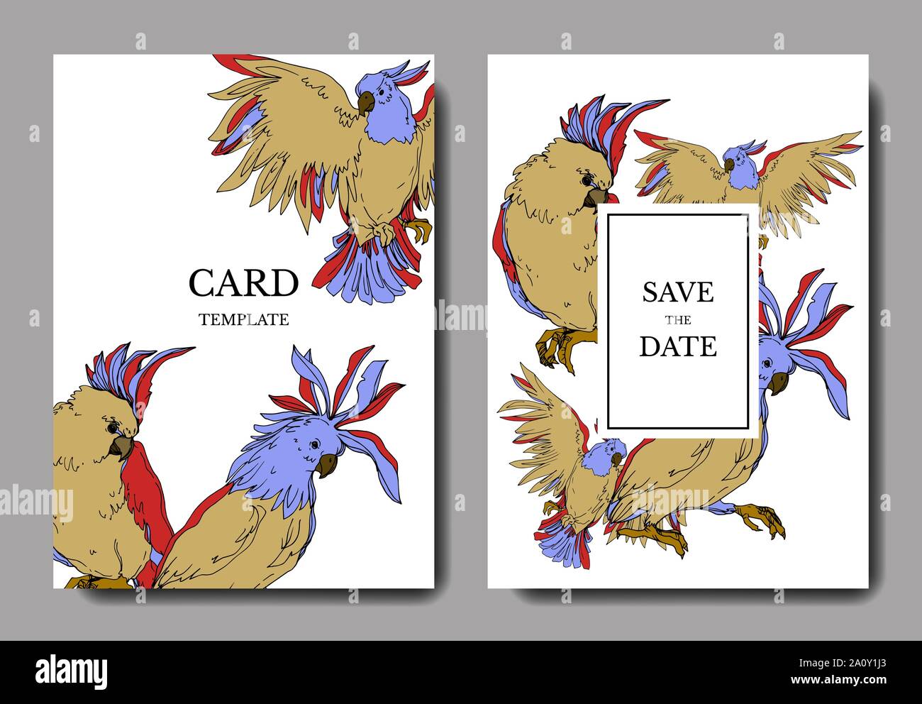 Vector Sky bird cockatoo in a wildlife isolated. Black and white ...