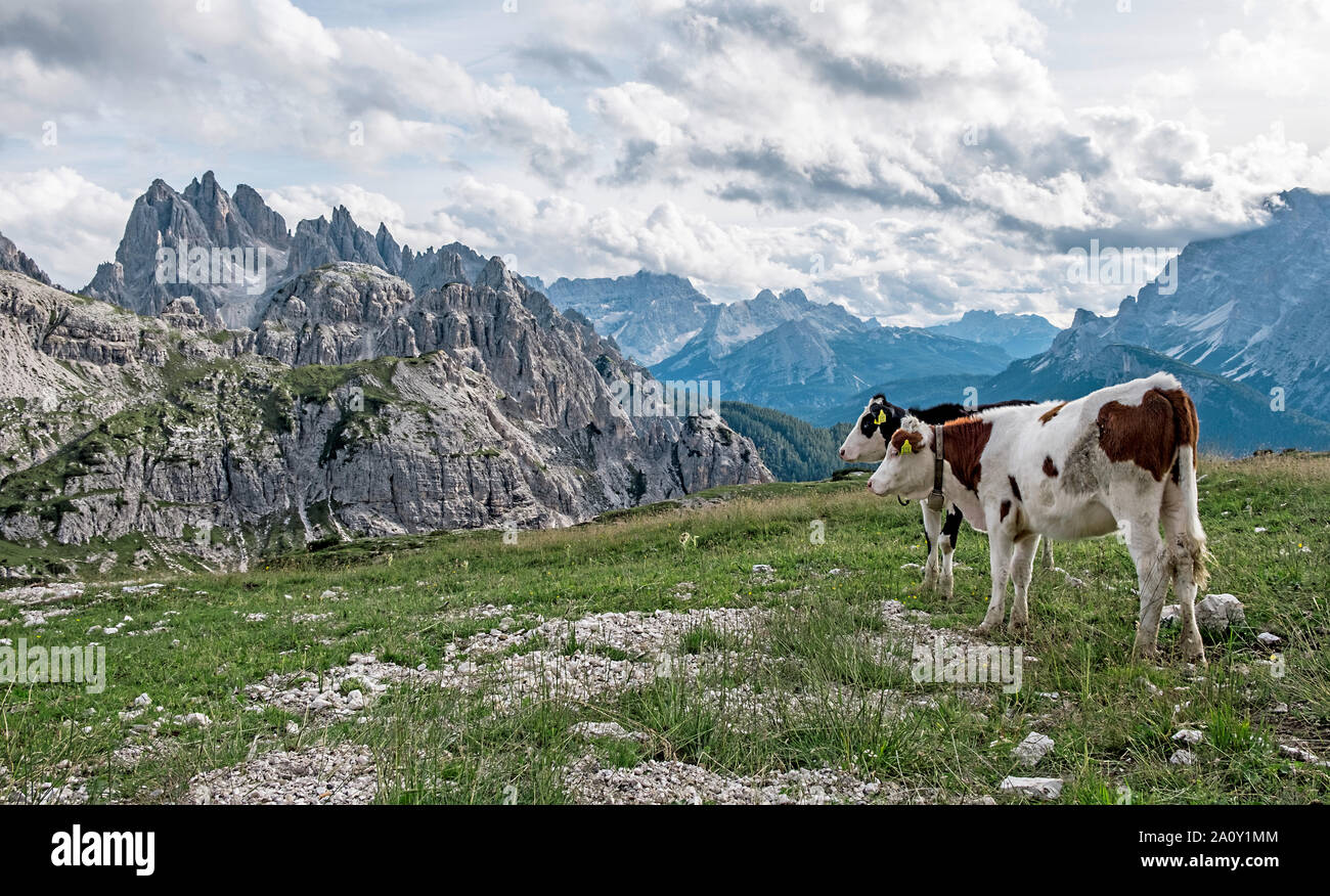 Magic moutain hi-res stock photography and images - Alamy