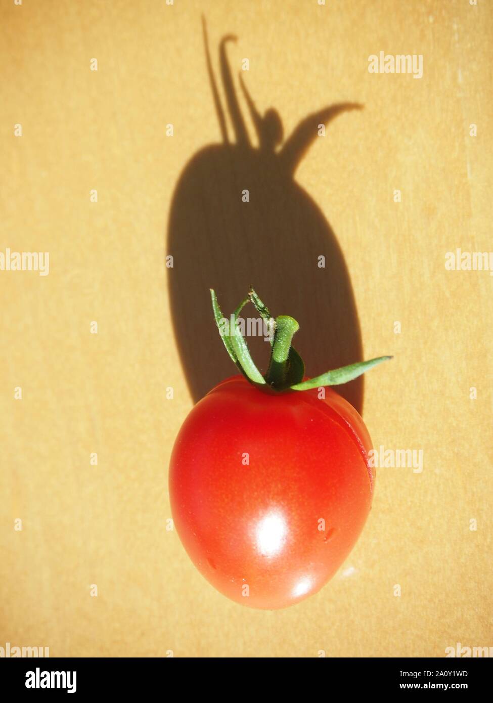 Single red tomato with green stalk and shadow Stock Photo - Alamy