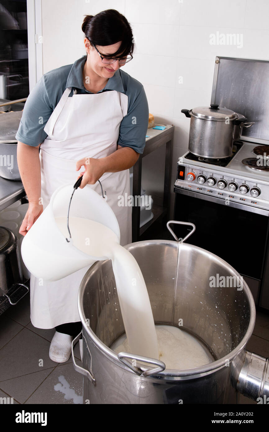 Cheese Maker pours milk into a steel container to boil it Stock Photo ...