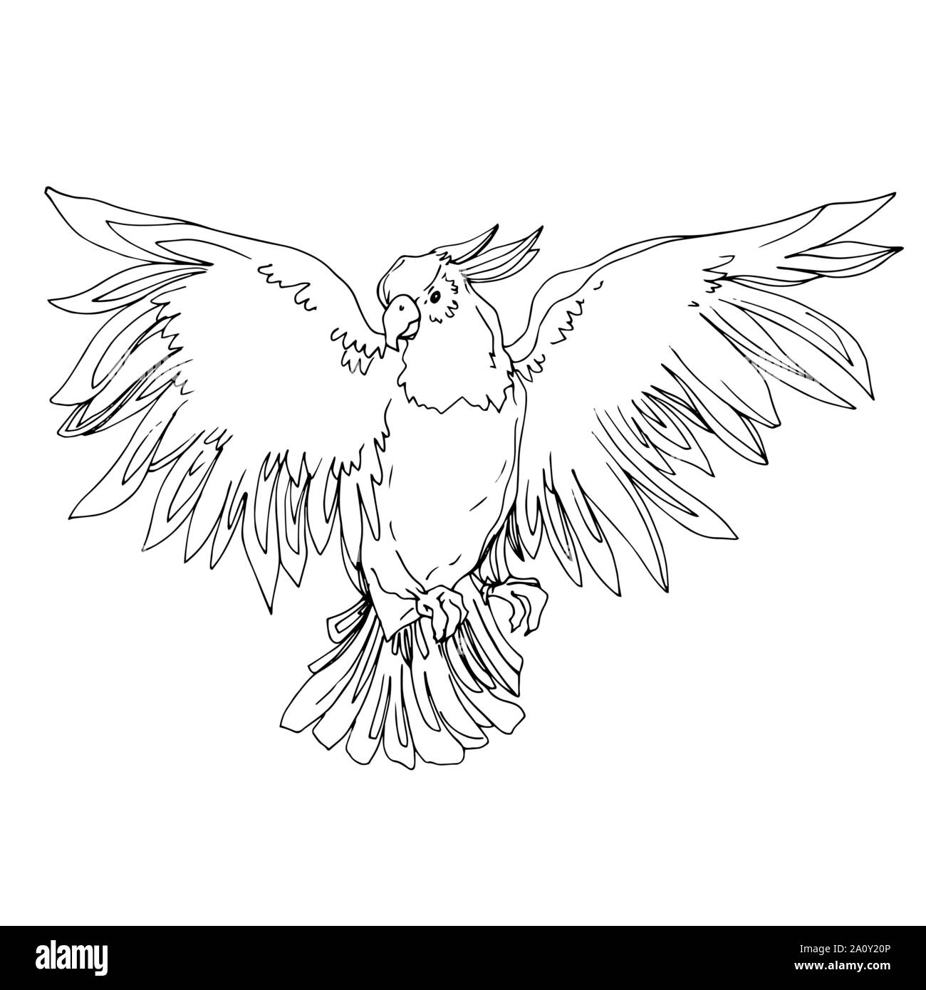 Closeup bird flying in Stock Vector Images - Alamy