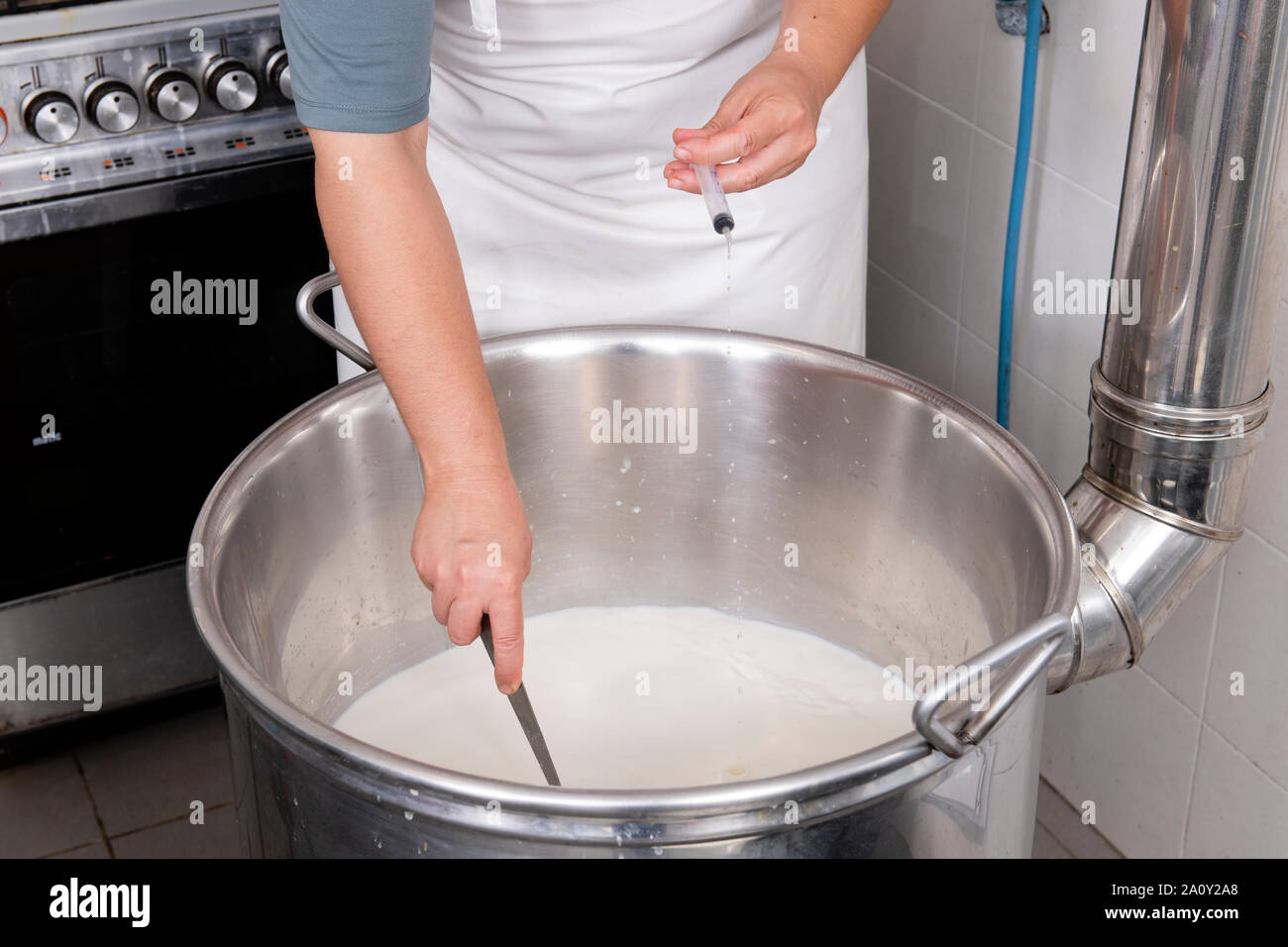 Cheesemaker pours the rennet with a syringe and mix with a ladle Stock ...