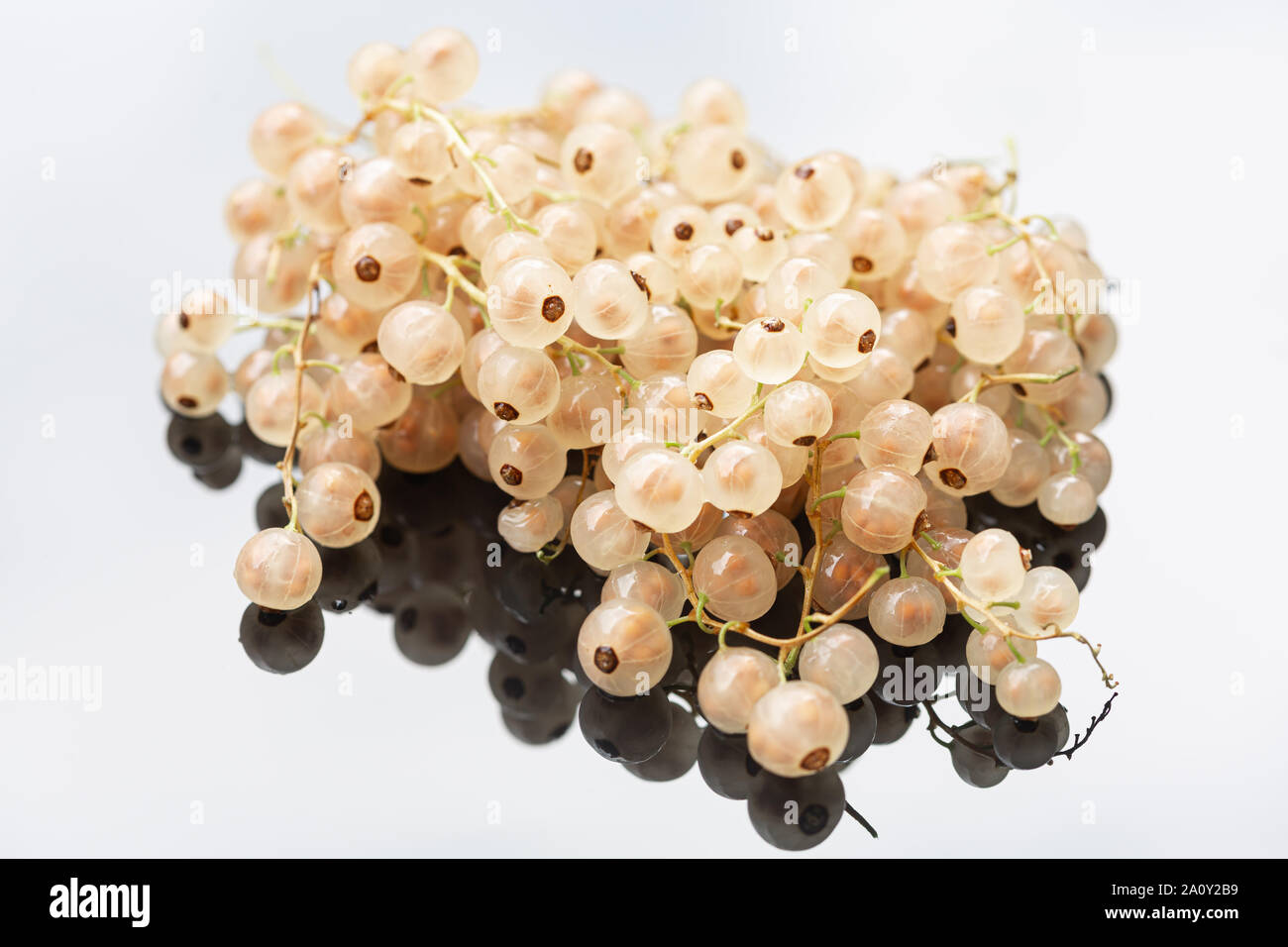 White currant on black background Stock Photo - Alamy
