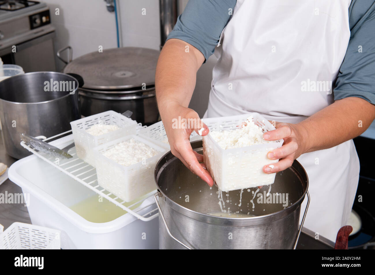 Cheesemaker pours the curdled milk into plastic forms to shape the ...