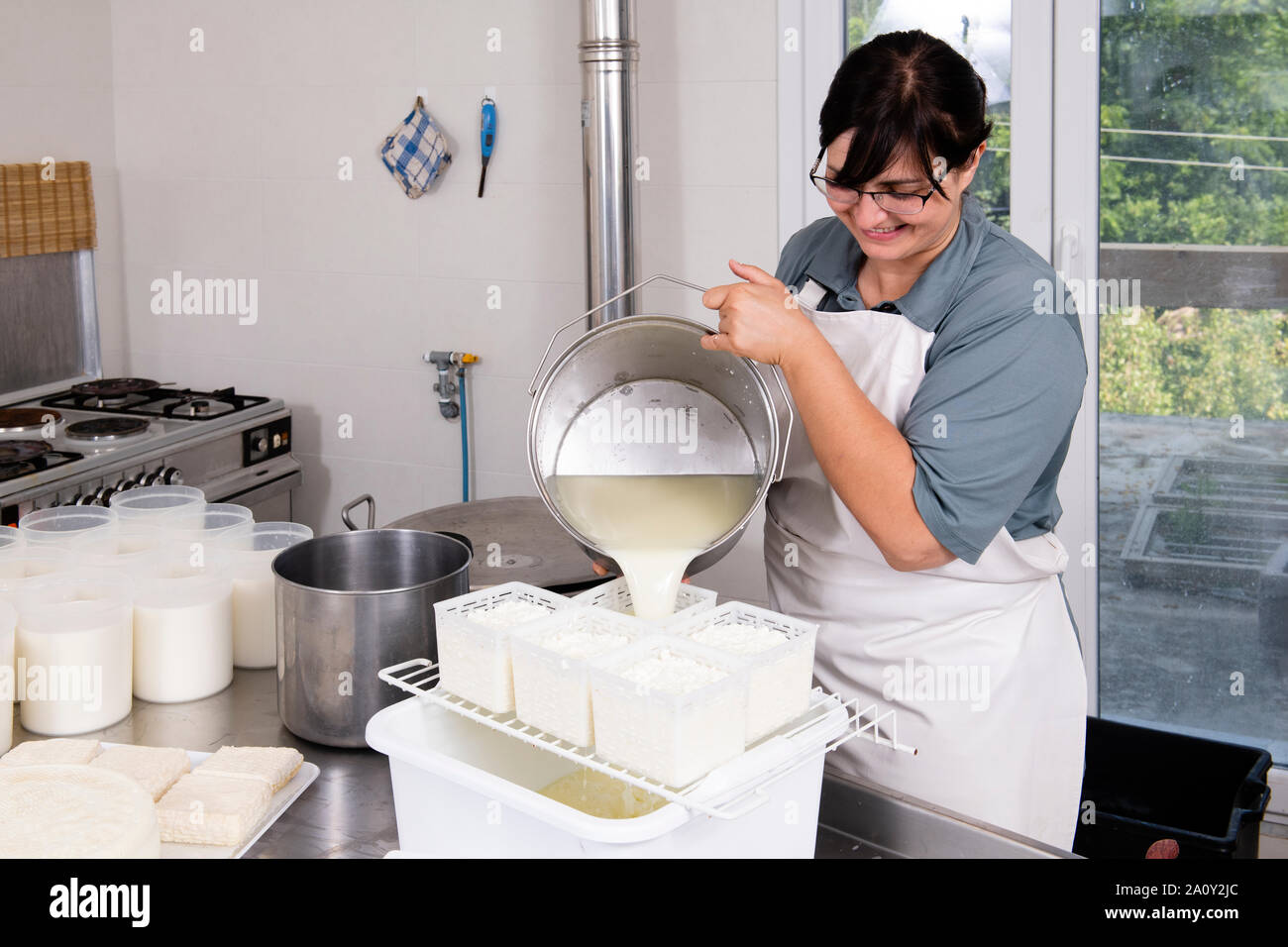 Cheesemaker pours the curdled milk into plastic forms to shape the ...