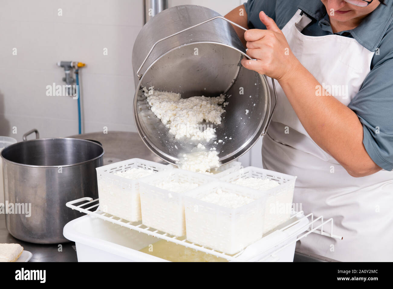 Cheesemaker pours the curdled milk into plastic forms to shape the ...