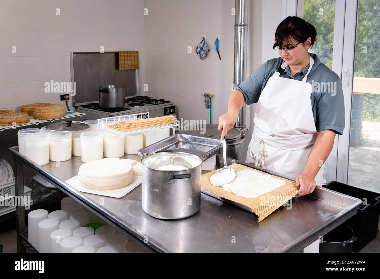 Cheesemaker puts fresh cheese on the rush for a typical process Stock ...