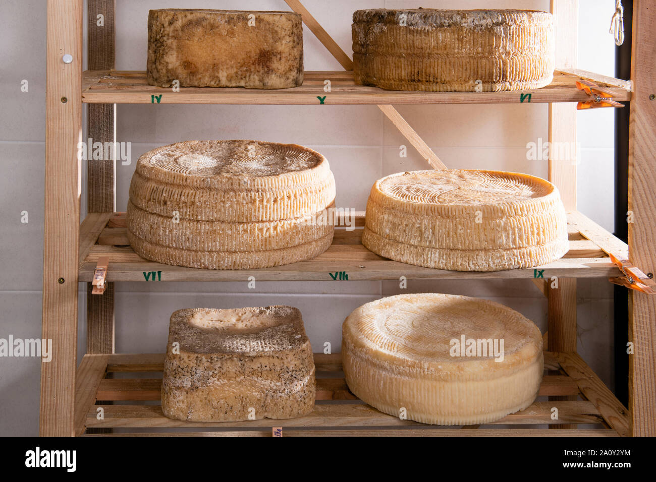 Forms of aged cheese on the shelf for maturing Stock Photo - Alamy