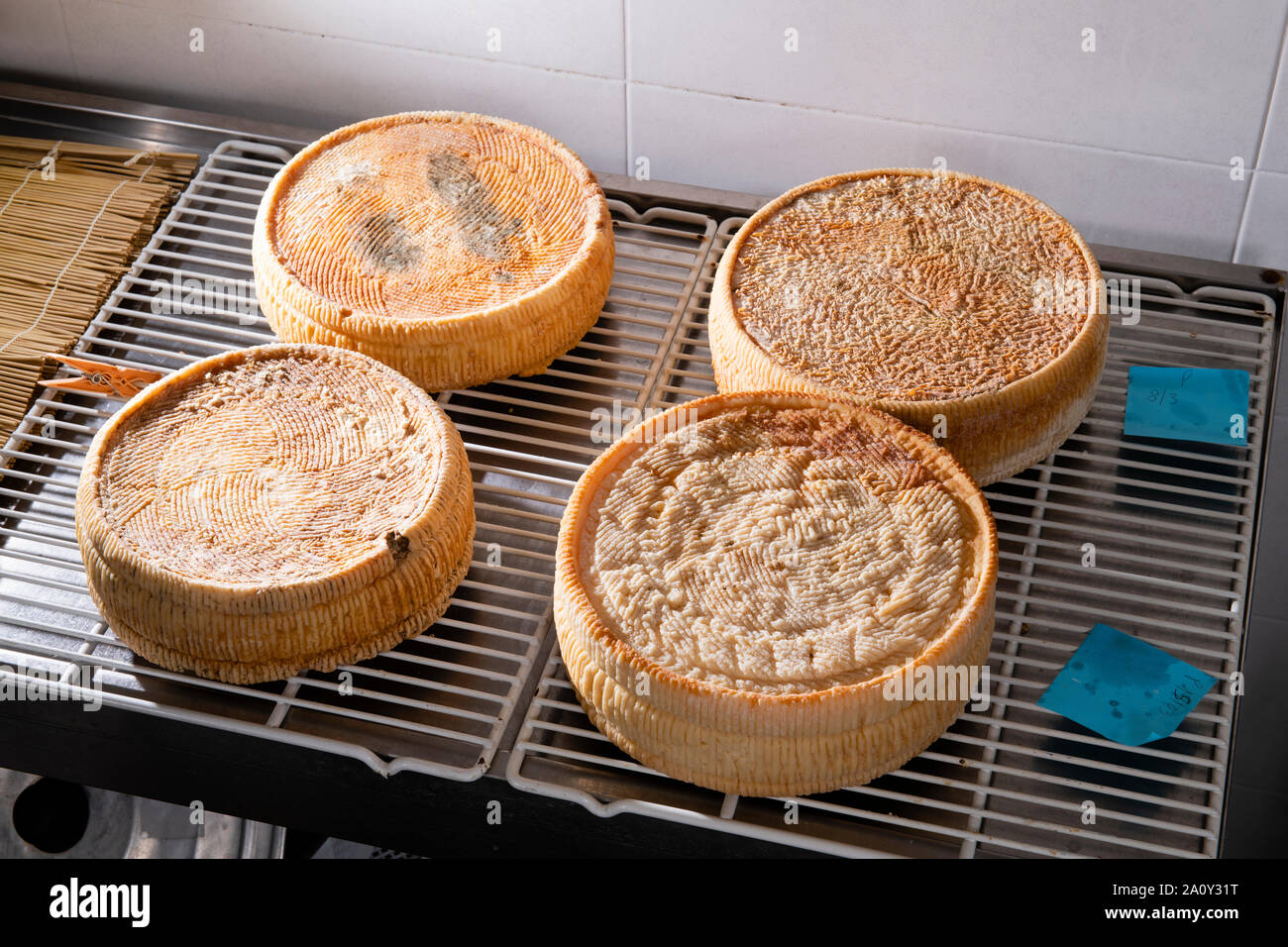 Forms of aged cheese on the shelf for maturing Stock Photo - Alamy