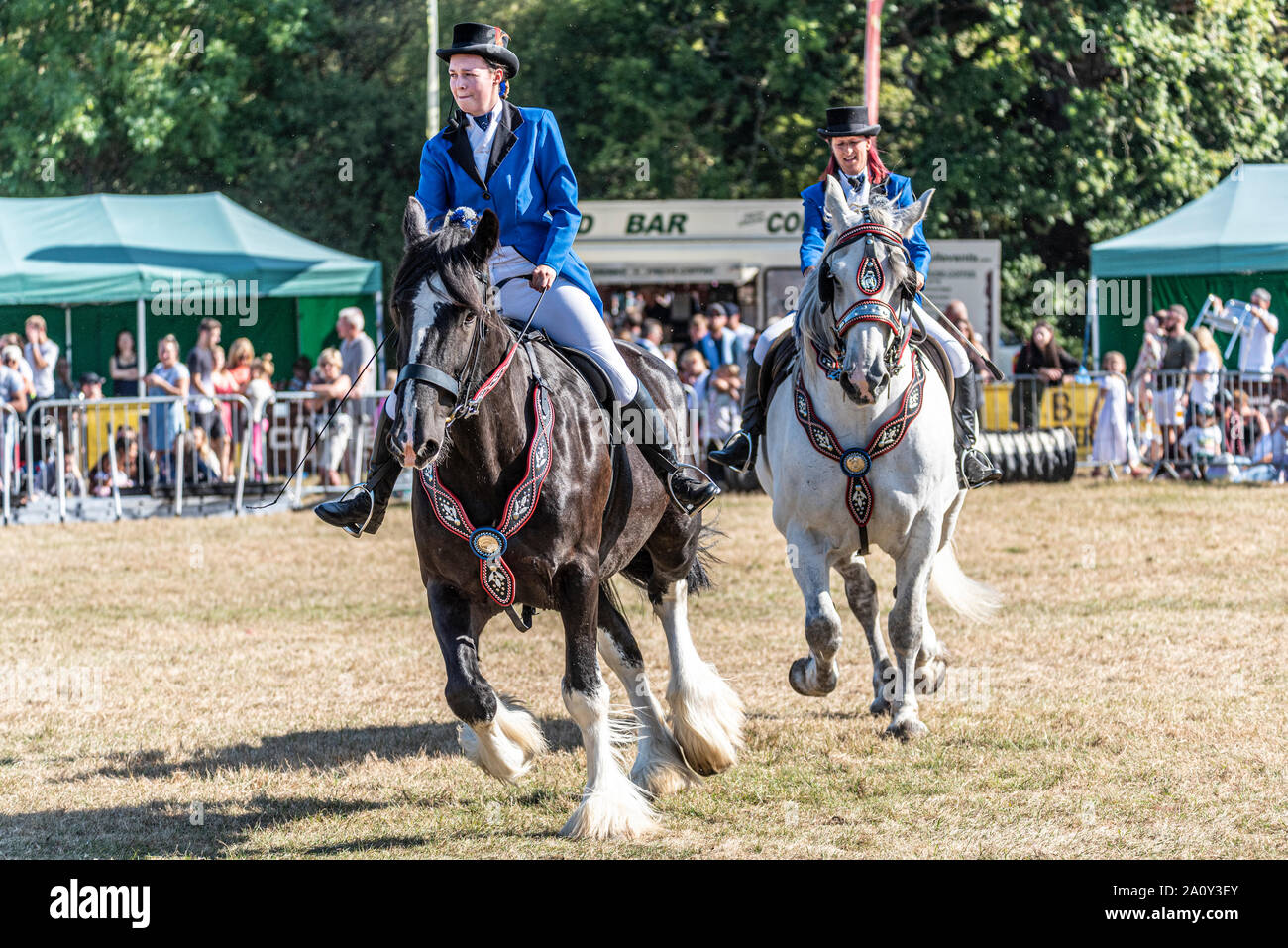 Shire horse display at the National Country Show Live at Hylands Park ...