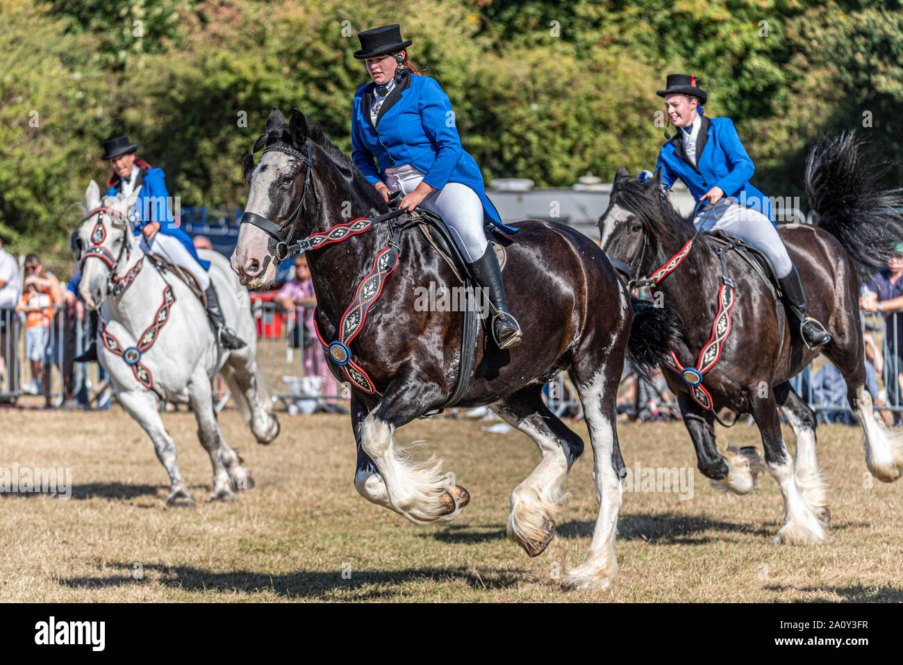 Heavy horse country show hi-res stock photography and images - Alamy