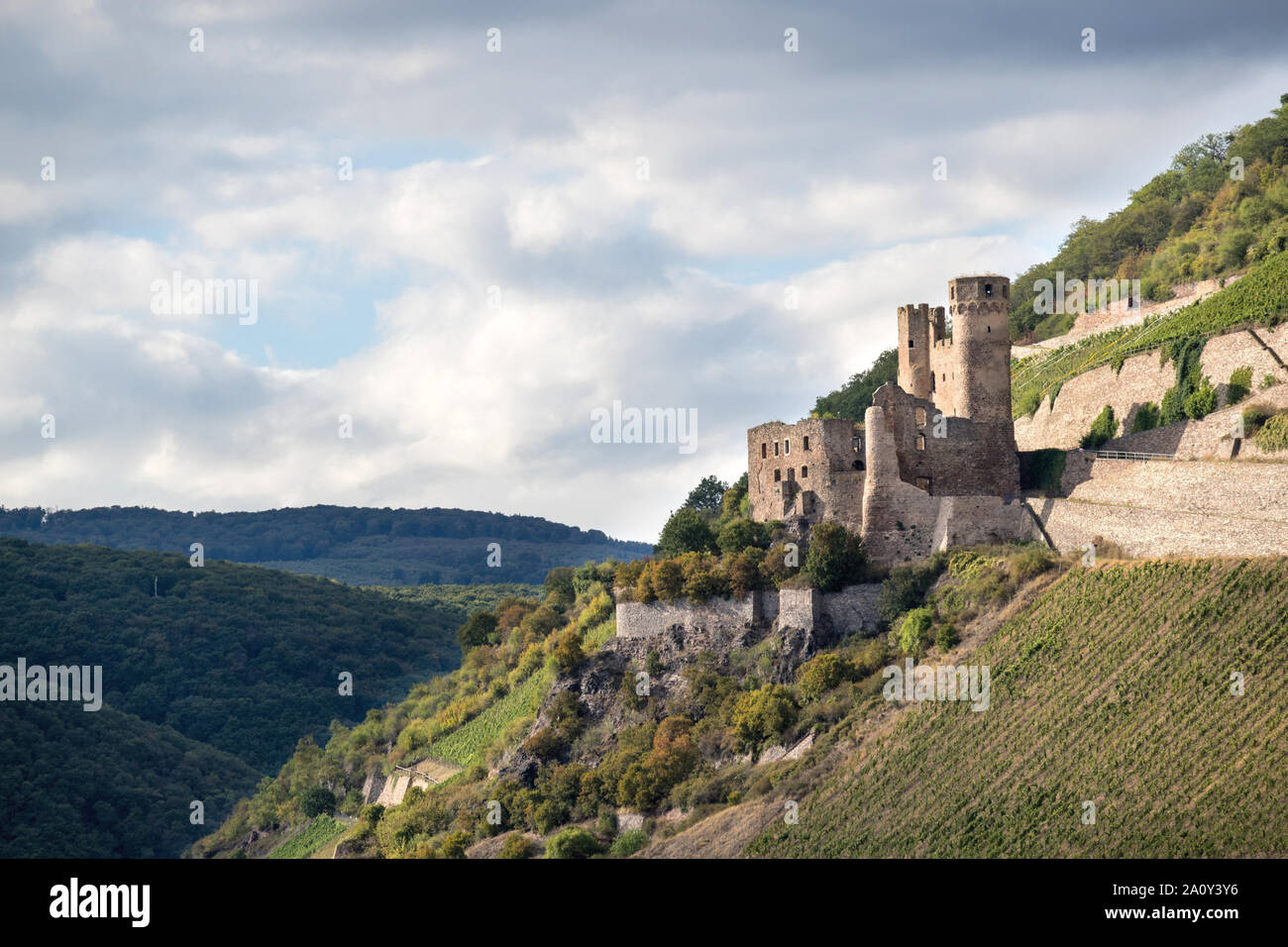 Ehrenfels Castle, a ruined castle above the Rhine Gorge near the town ...