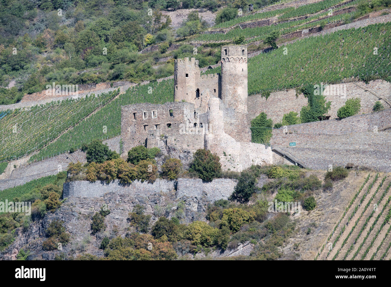 Ehrenfels Castle, a ruined castle above the Rhine Gorge near the town ...