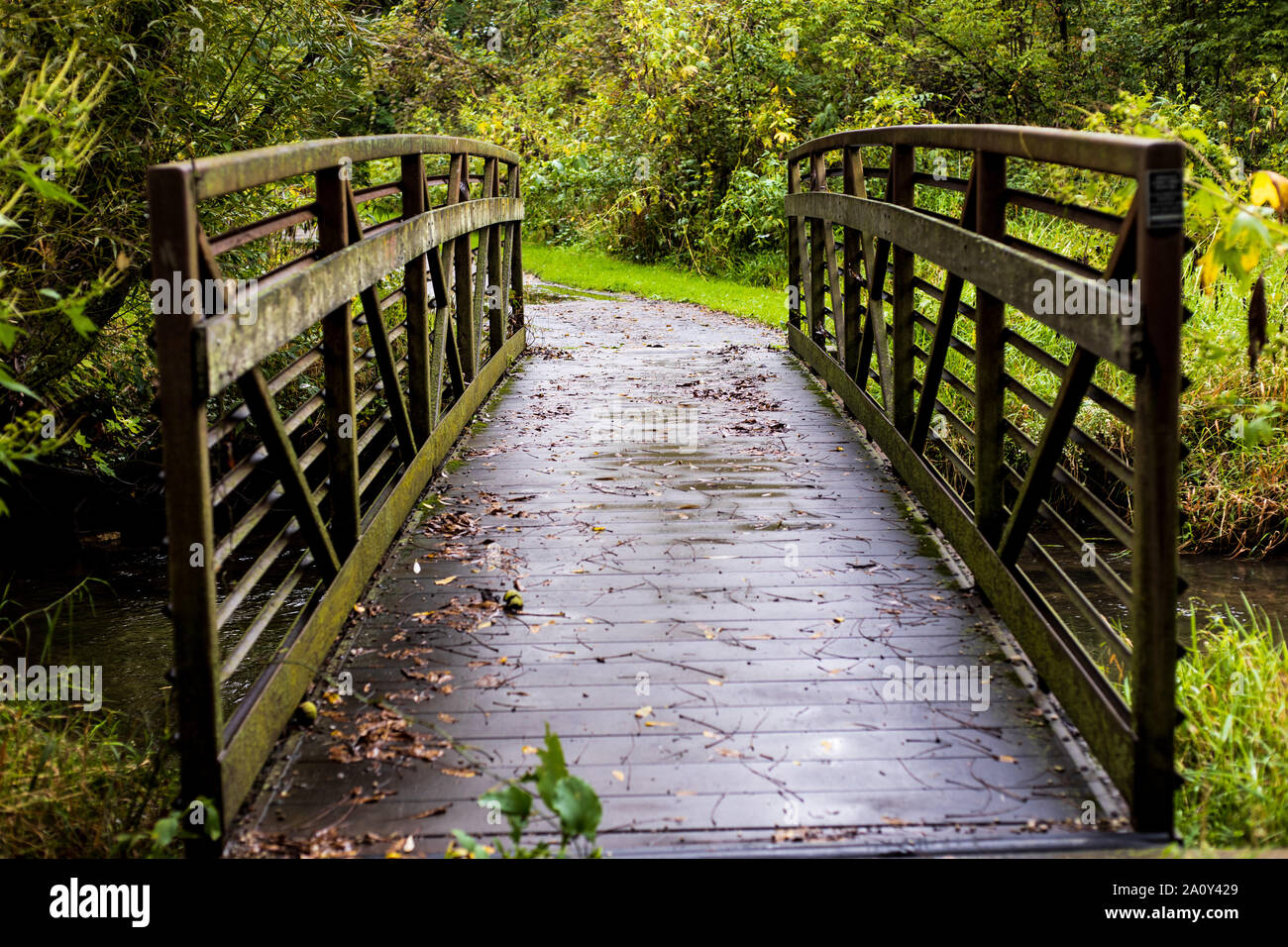 Old bridge to forest Stock Photo - Alamy