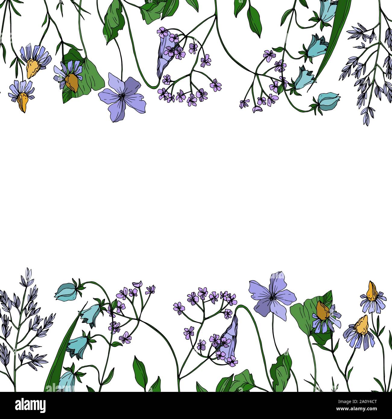 Vector Wildflowers floral botanical flowers. Wild spring leaf ...