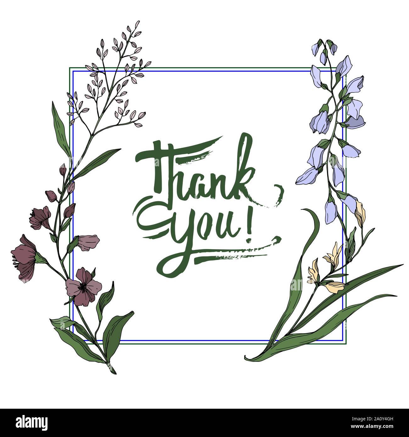 Vector Wildflower floral botanical flowers. Wild spring leaf wildflower ...