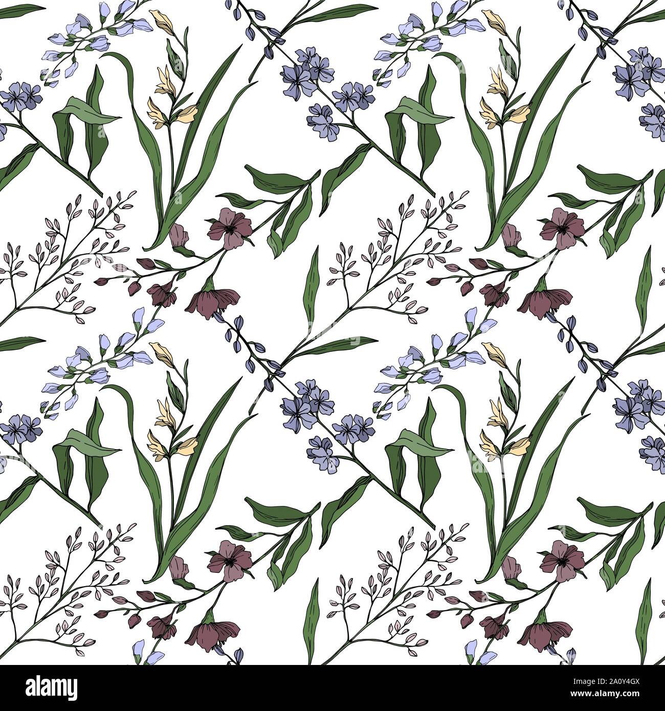 Vector Wildflower floral botanical flowers. Wild spring leaf wildflower isolated. Black and ...