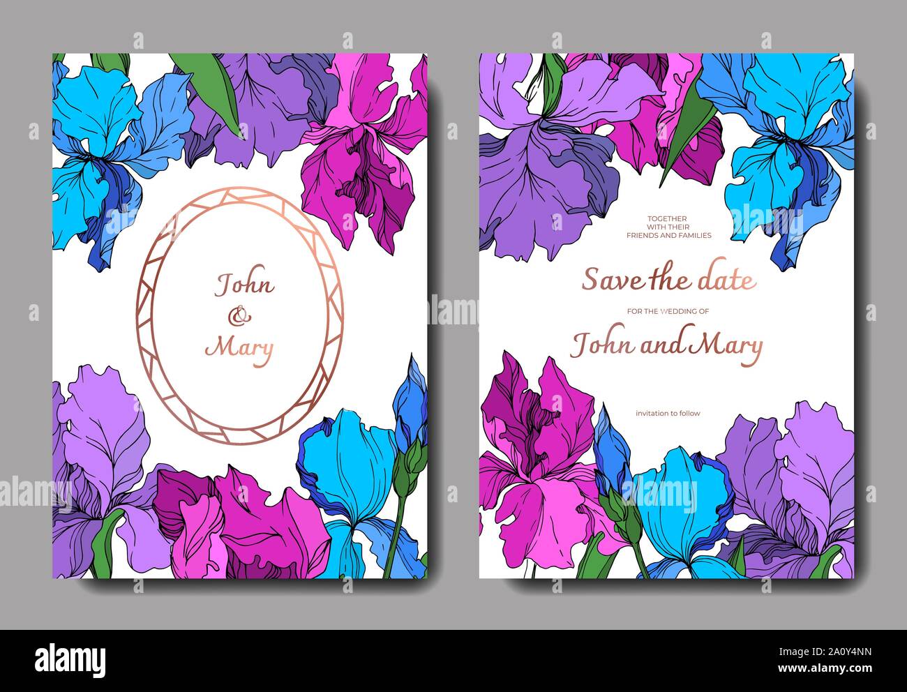 Vector Iris floral botanical flowers. Black and white engraved ink art ...