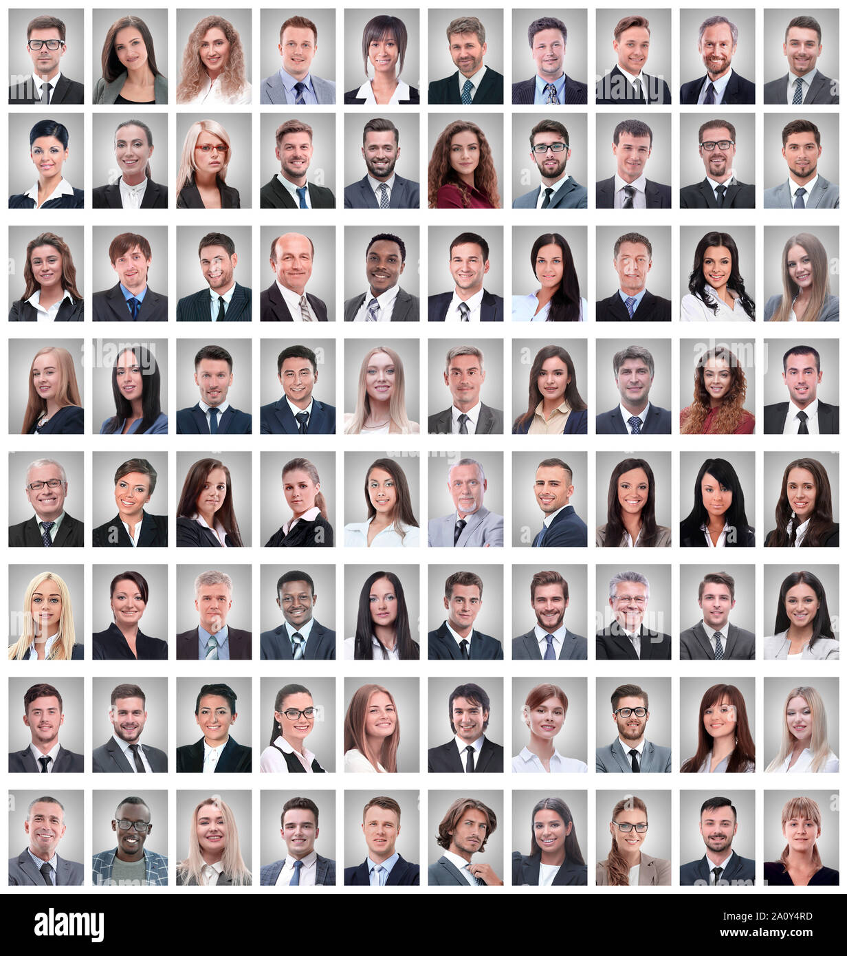 portraits of a group of successful employees isolated on white Stock ...