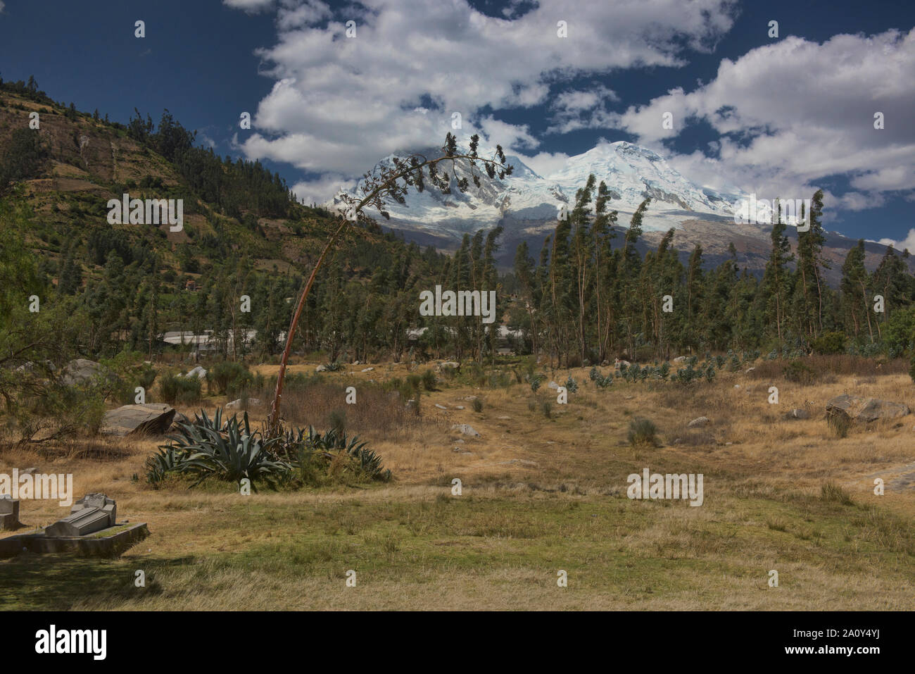 Campo Santo, the memorial and cemetery built on the site of the ...
