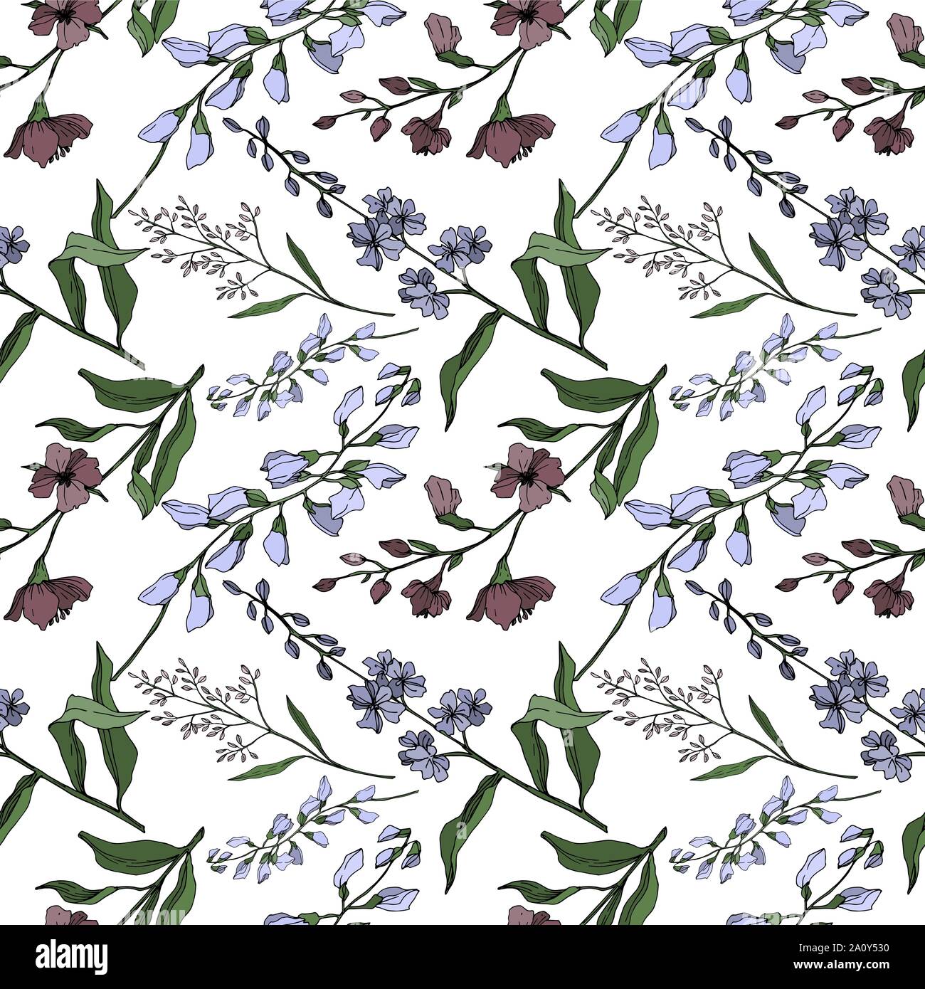 Vector Wildflower floral botanical flowers. Wild spring leaf wildflower ...