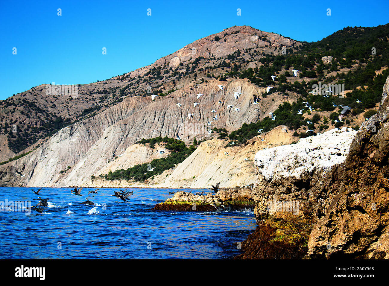 Rock outlier on background of mountains without forests, which are ...