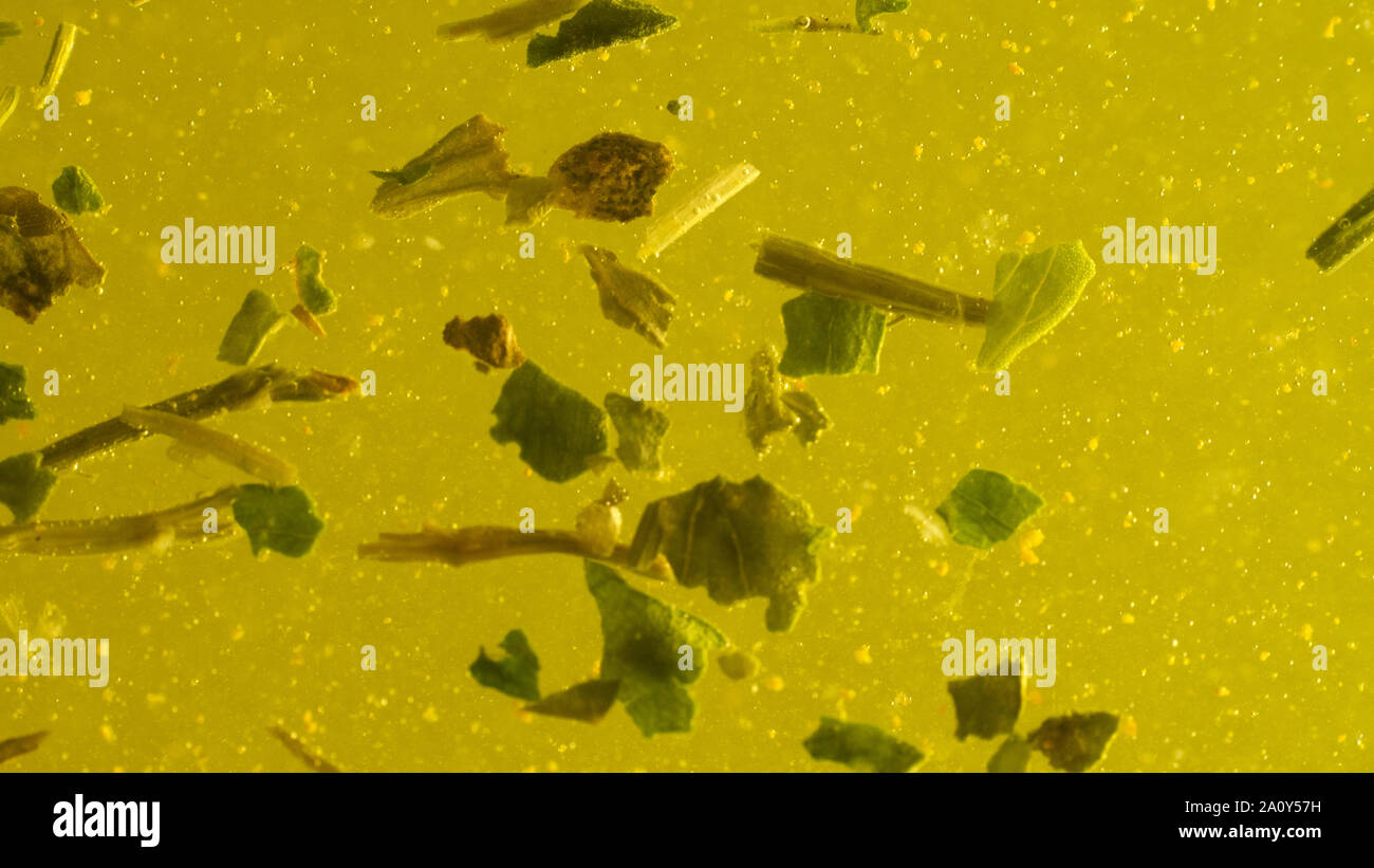 Herbal background of different ingredients for spices ultra macro ...