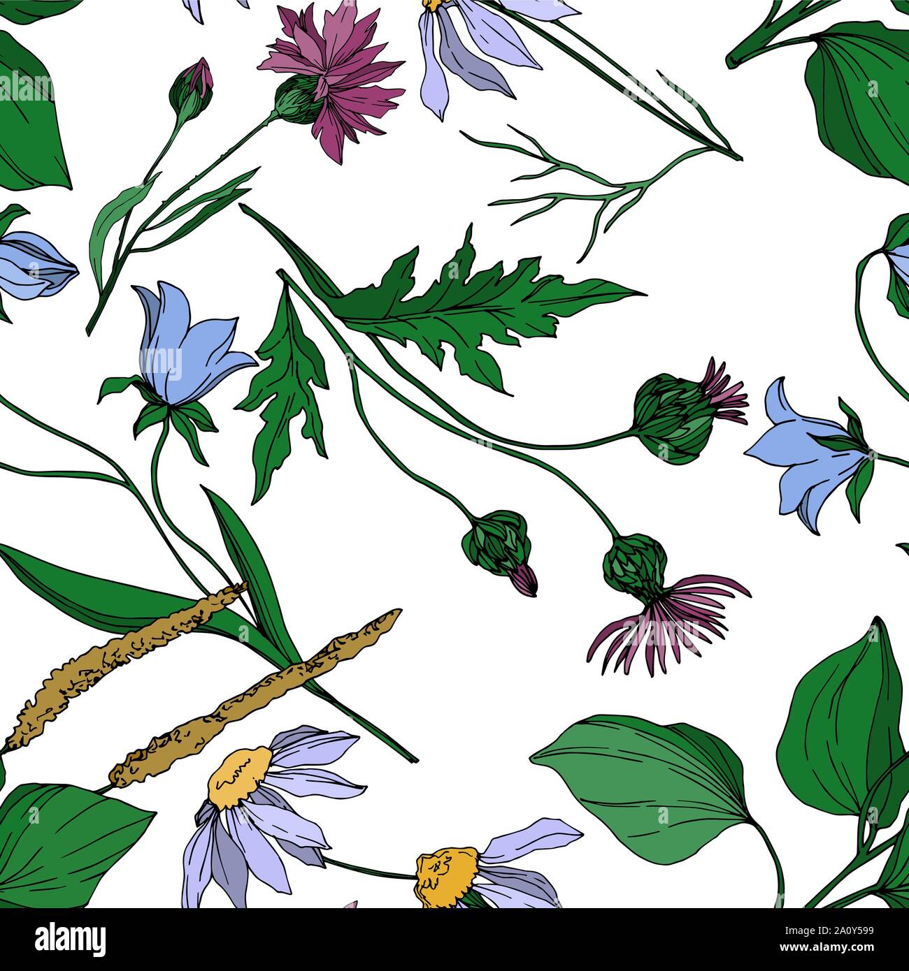 Vector wildflowers floral botanical flowers. Wild spring leaf ...