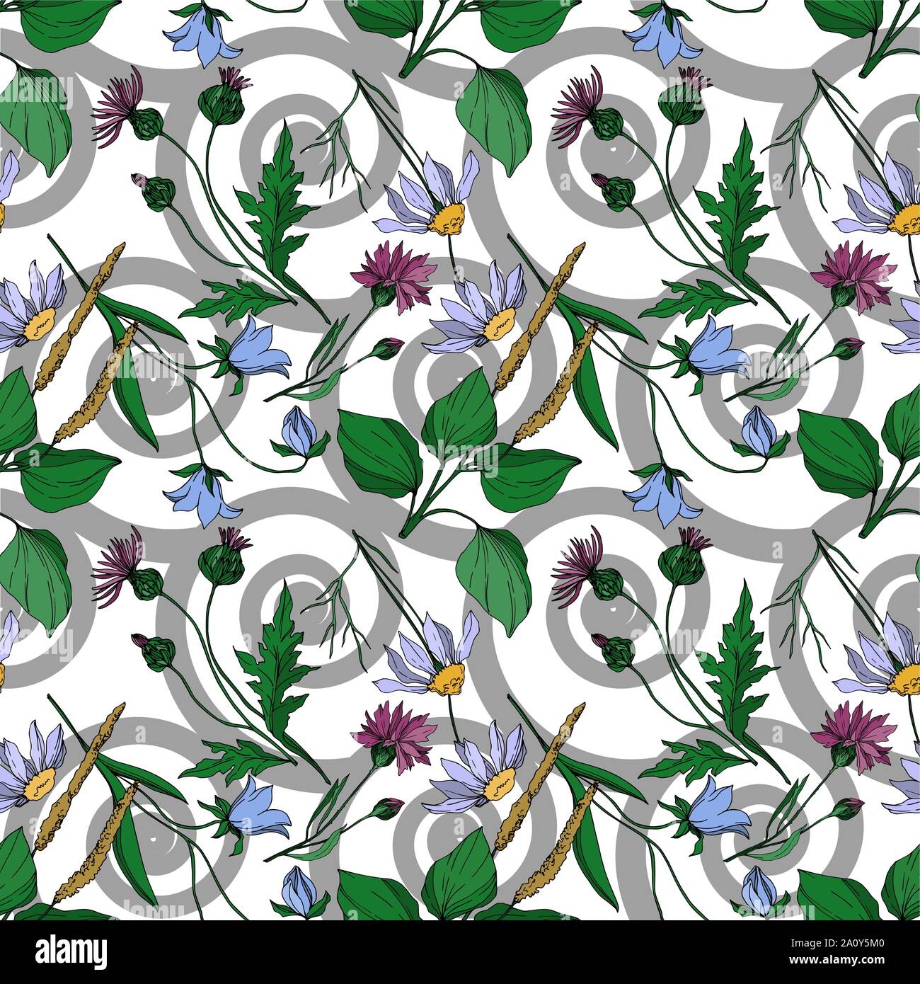 Vector wildflowers floral botanical flowers. Wild spring leaf ...