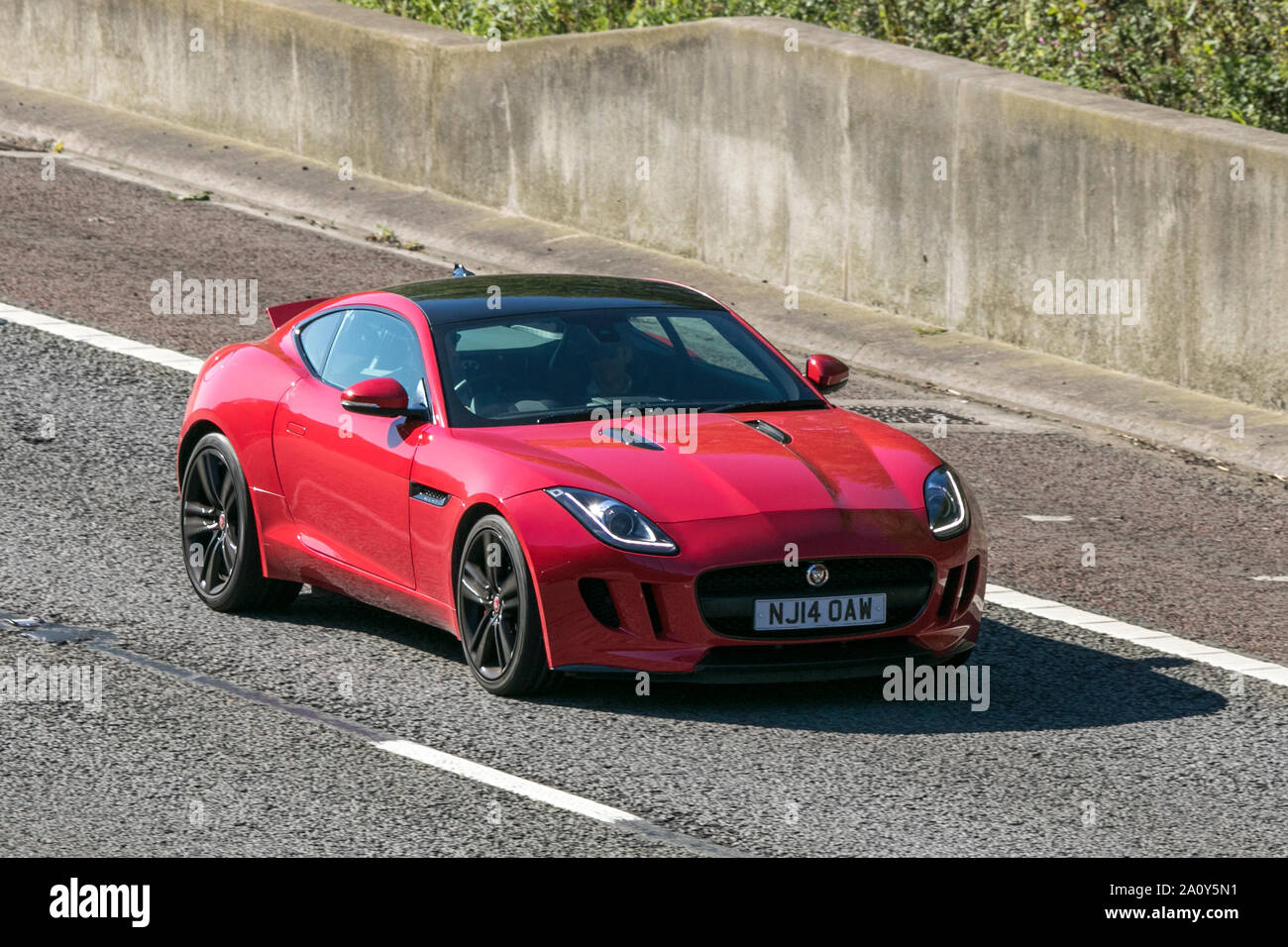 Fast Jaguar High Resolution Stock Photography and Images - Alamy