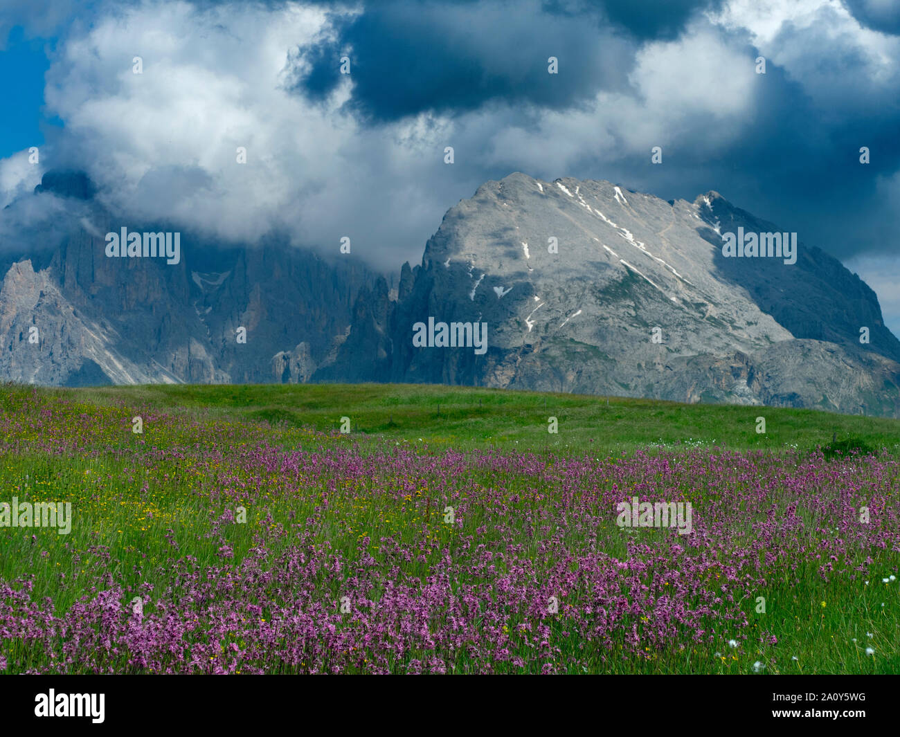 Seiser Alm Dolomites plateau largest Alpine meadow in Europe mountains ...
