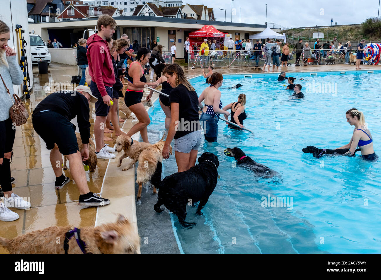 Saltdean lido dog hi-res stock photography and images - Alamy