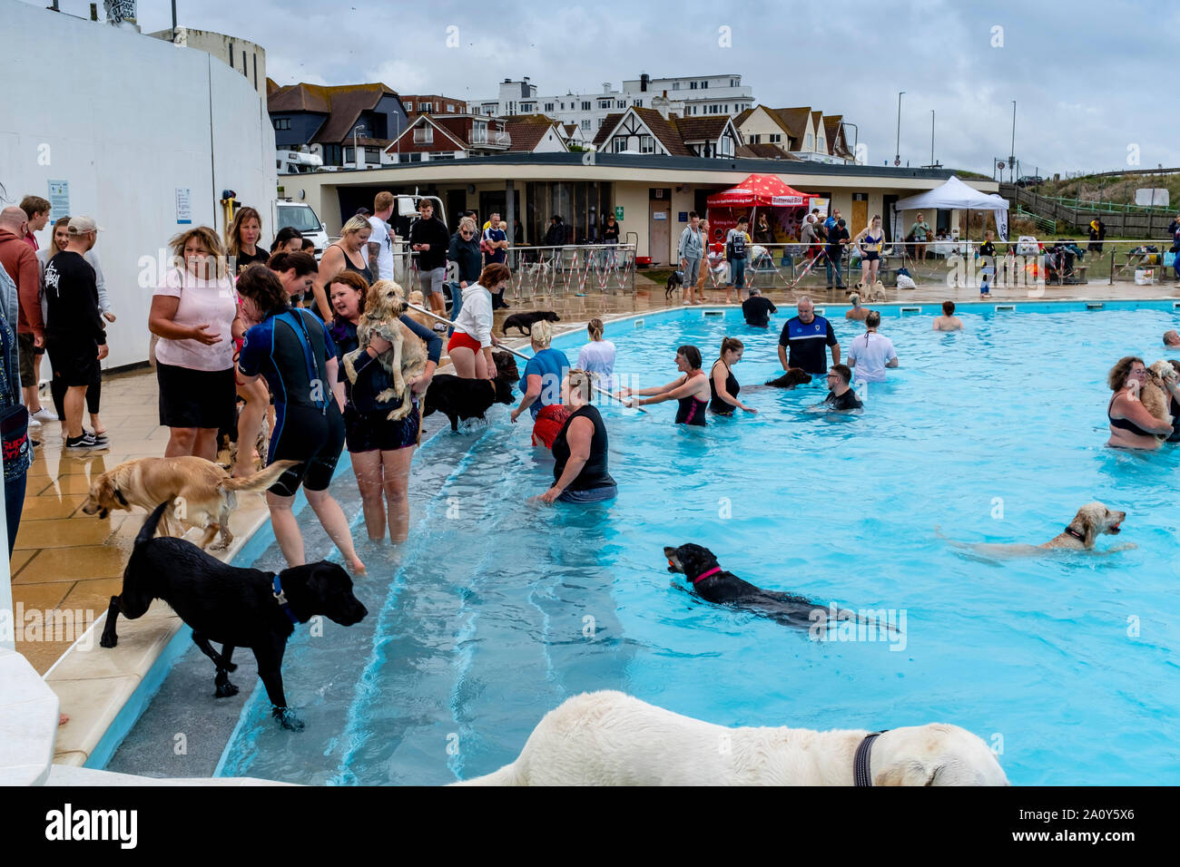 Saltdean hi-res stock photography and images - Alamy