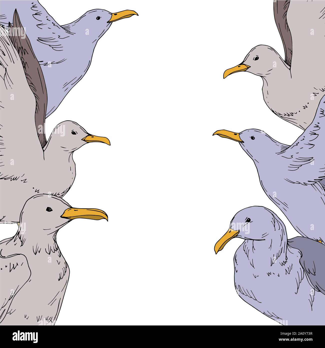 Seagull Border Painting With Seagull PNG Transparent Images Free