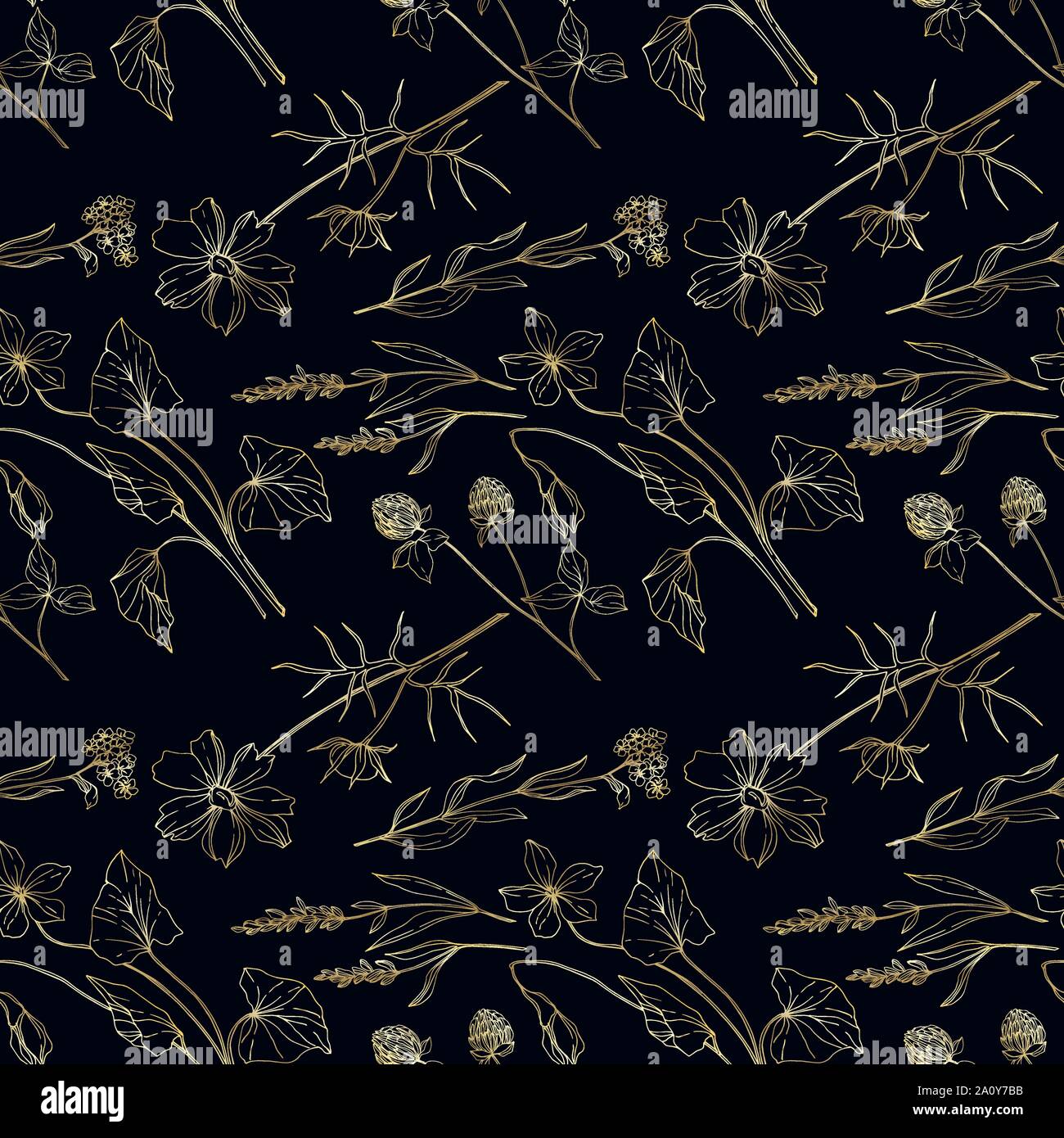 Vector wildflower floral botanical flowers. Wild spring leaf wildflower ...