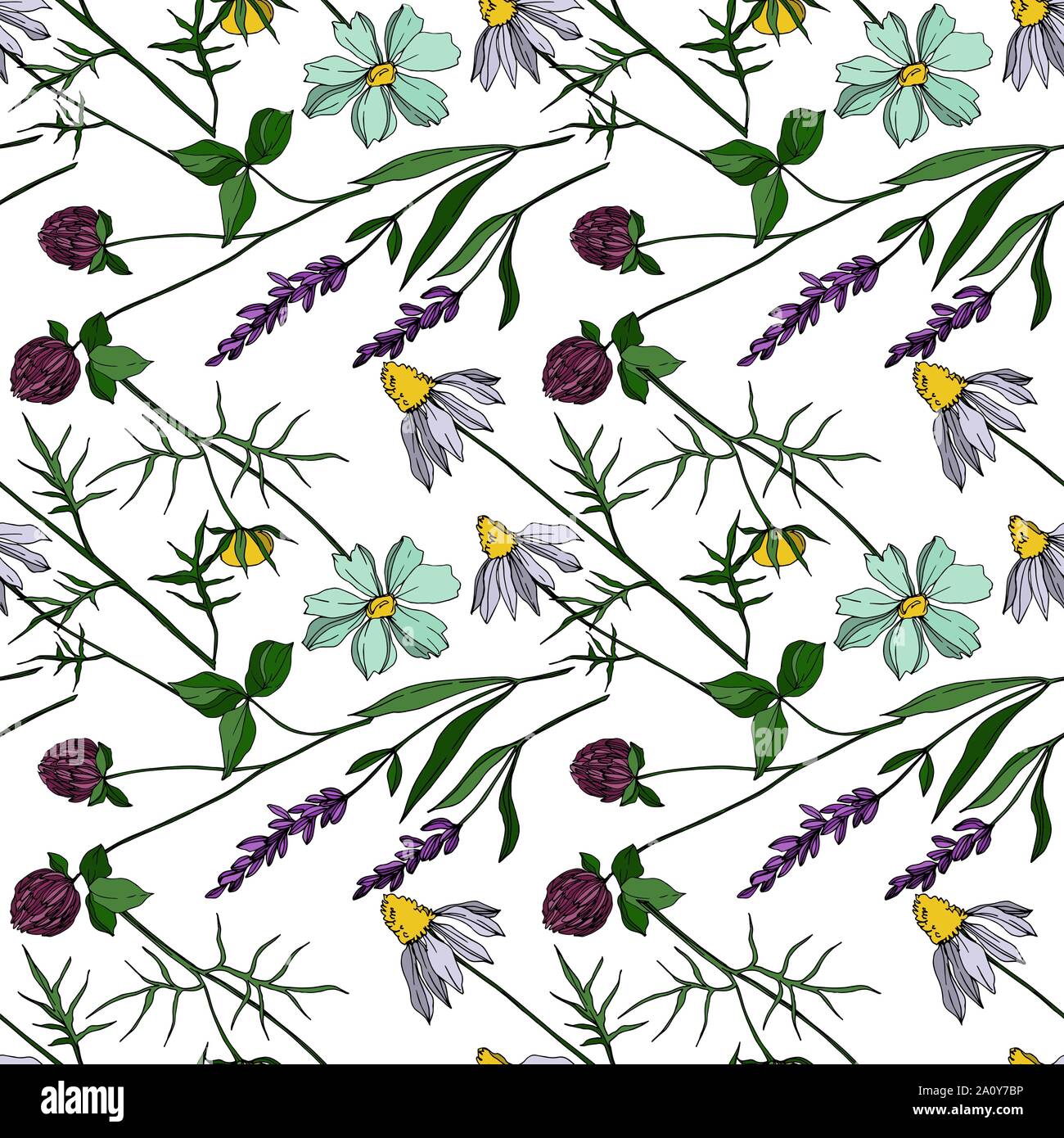 Vector wildflower floral botanical flowers. Wild spring leaf wildflower ...