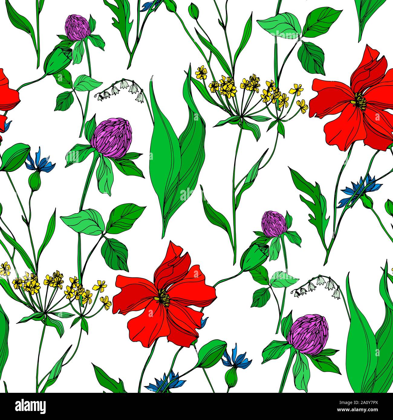 Vector Wildflowers floral botanical flowers. Wild spring leaf ...