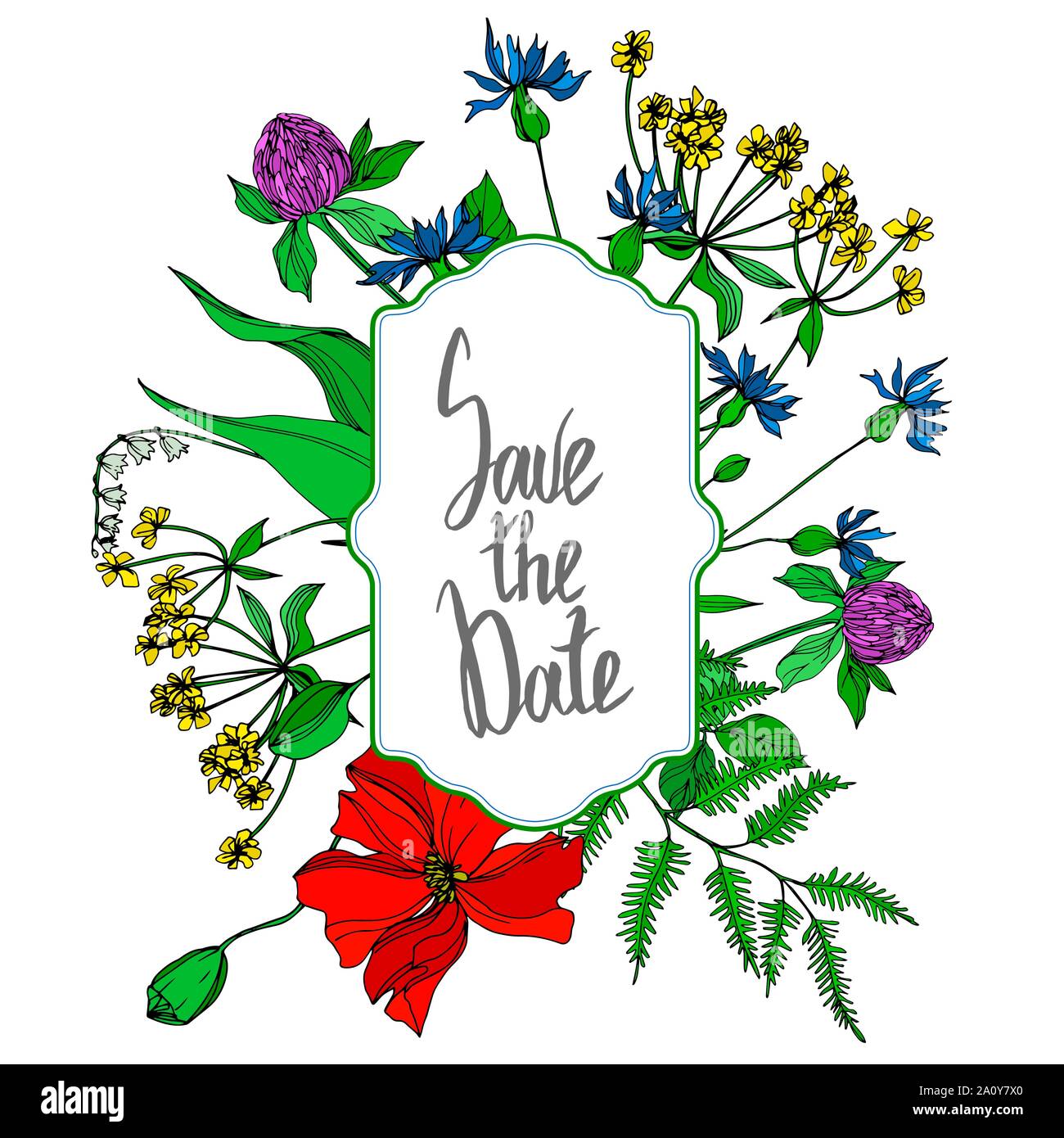 Vector Wildflowers floral botanical flowers. Wild spring leaf ...