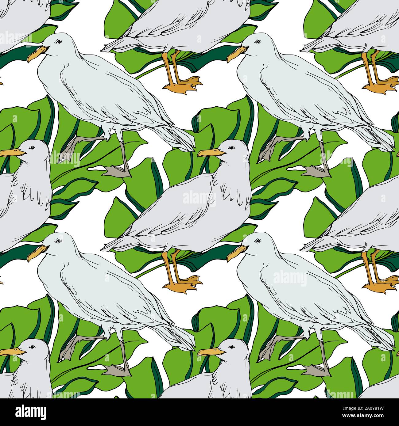 Vector Sky bird seagull in a wildlife. Black and white engraved ink art ...