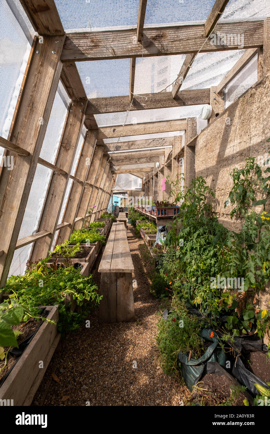 Skip garden london hi-res stock photography and images - Alamy