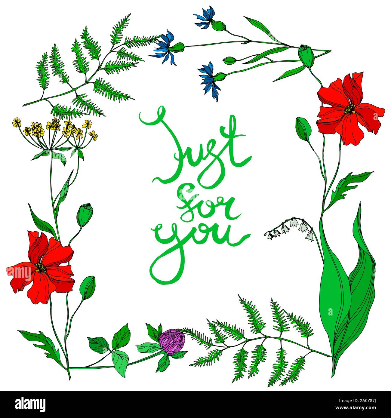 Vector Wildflowers floral botanical flowers. Wild spring leaf ...