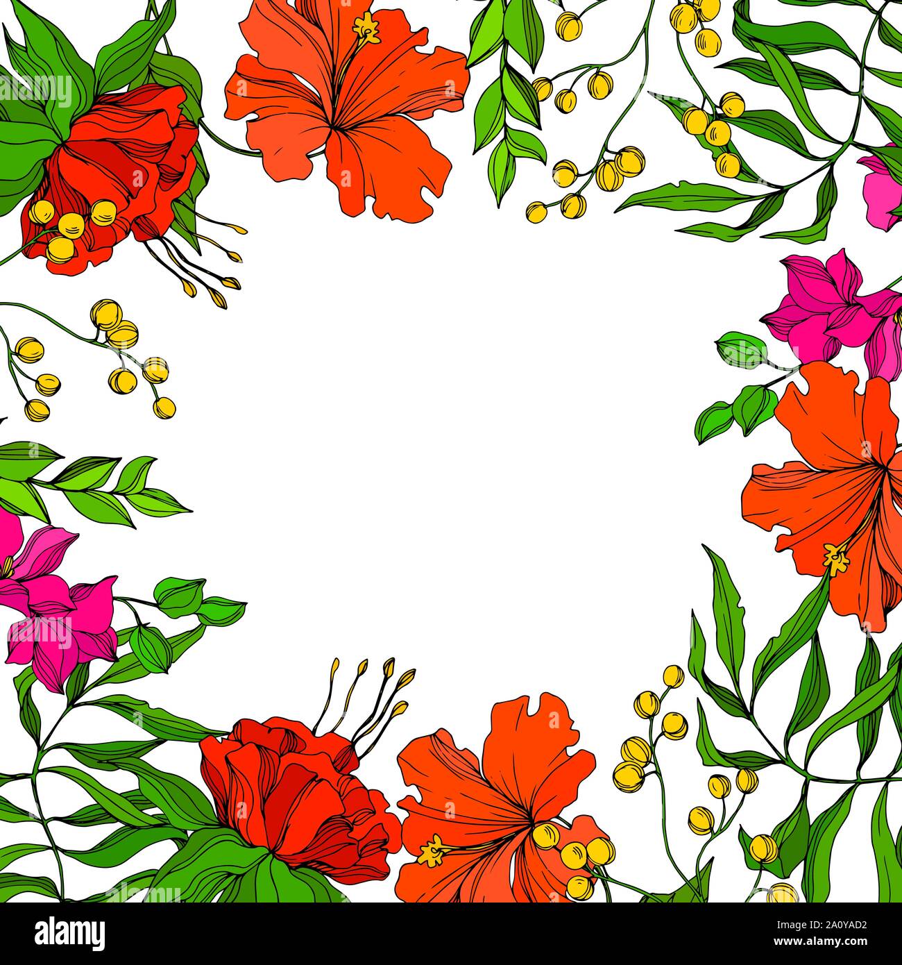 Vector Tropical floral botanical flower. Exotic tropical hawaiian ...
