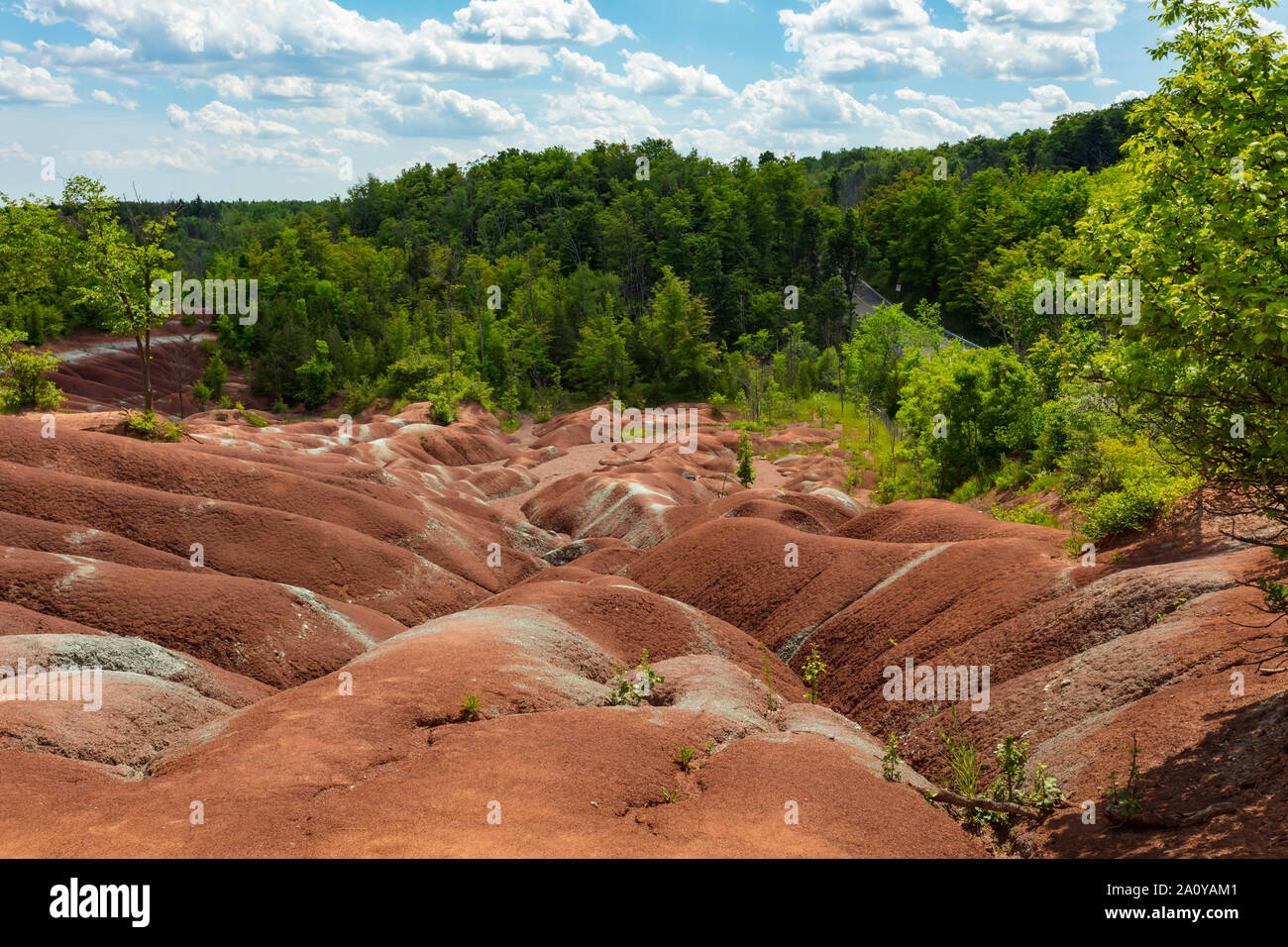 Cheltenham Badlands of Caledon, Ontario in summer Stock Photo - Alamy
